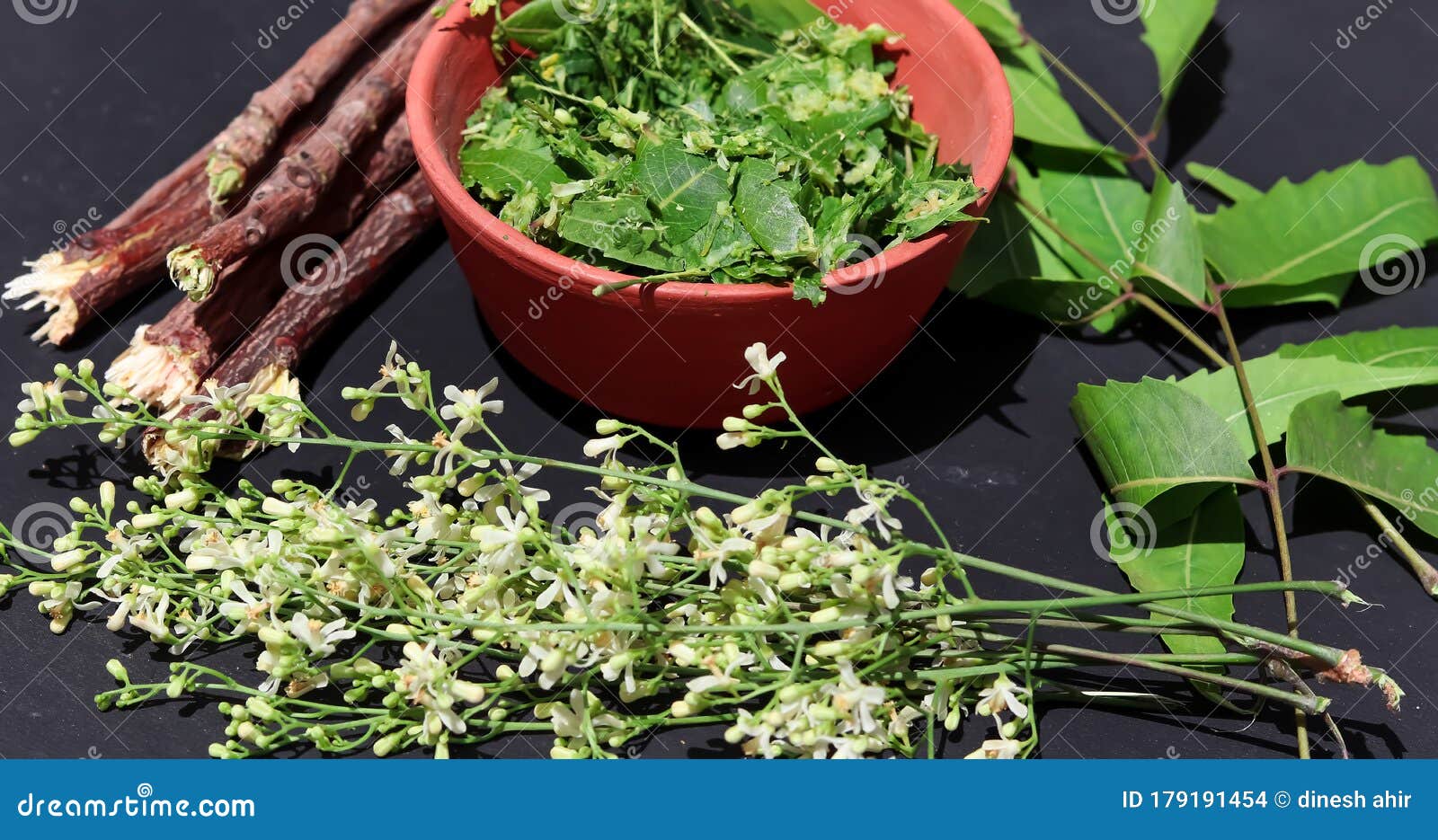 Neem Leaves and Flowers with Ayurvedic Nim Paste ,neem Paste and ...