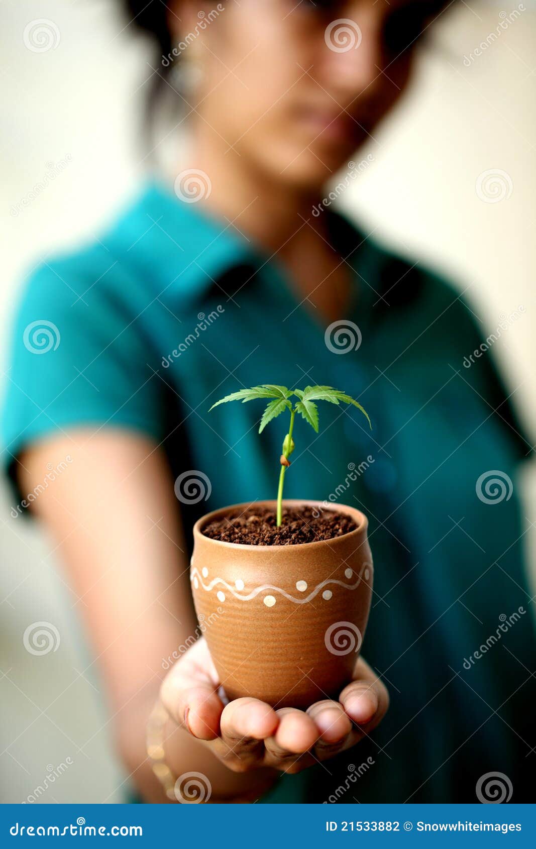 139 Neem Pot Photos - Free & Royalty-Free Stock Photos from Dreamstime
