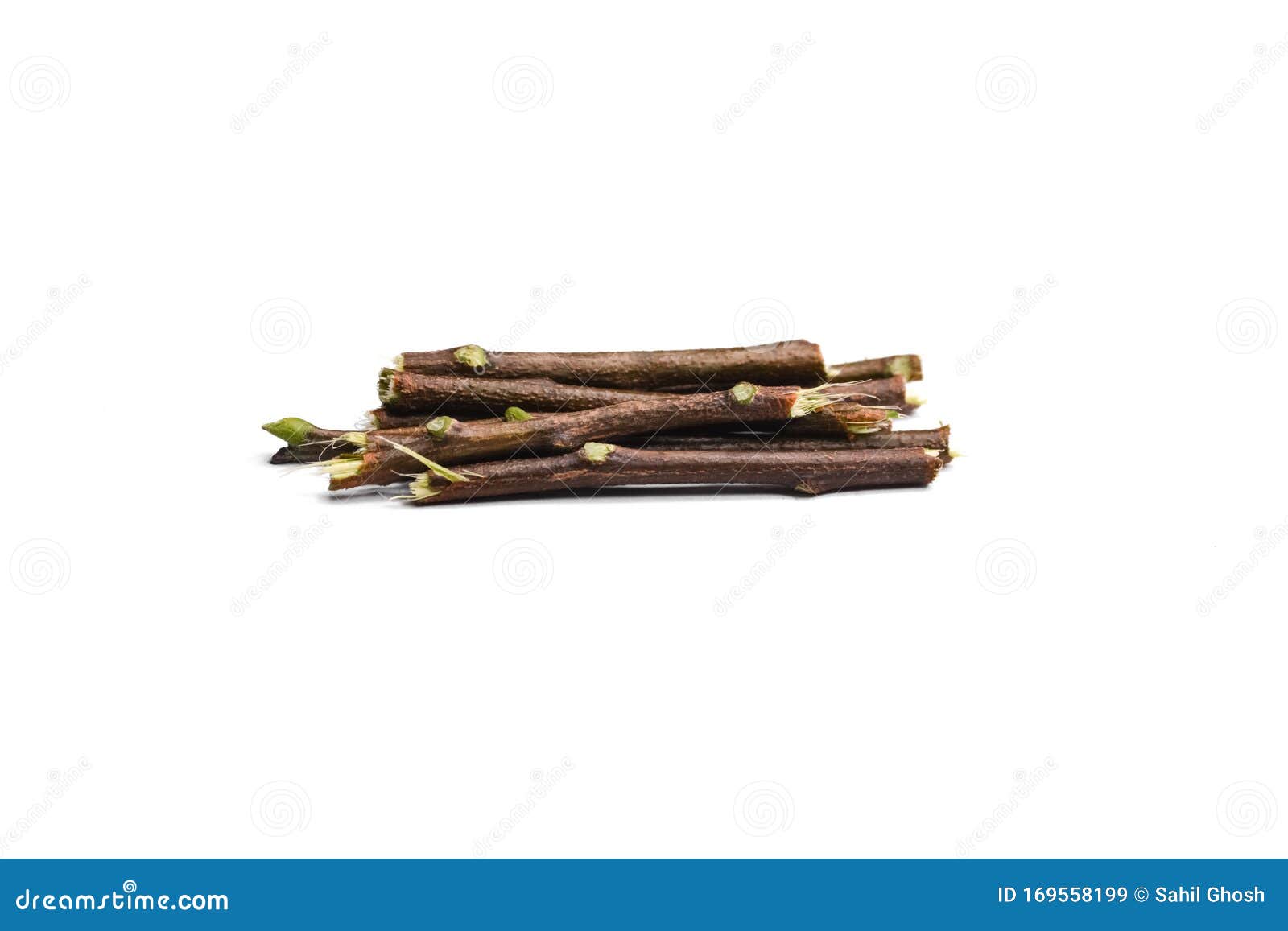 Neem sticks. stock image. Image of teeth, healthy, natural - 169558199