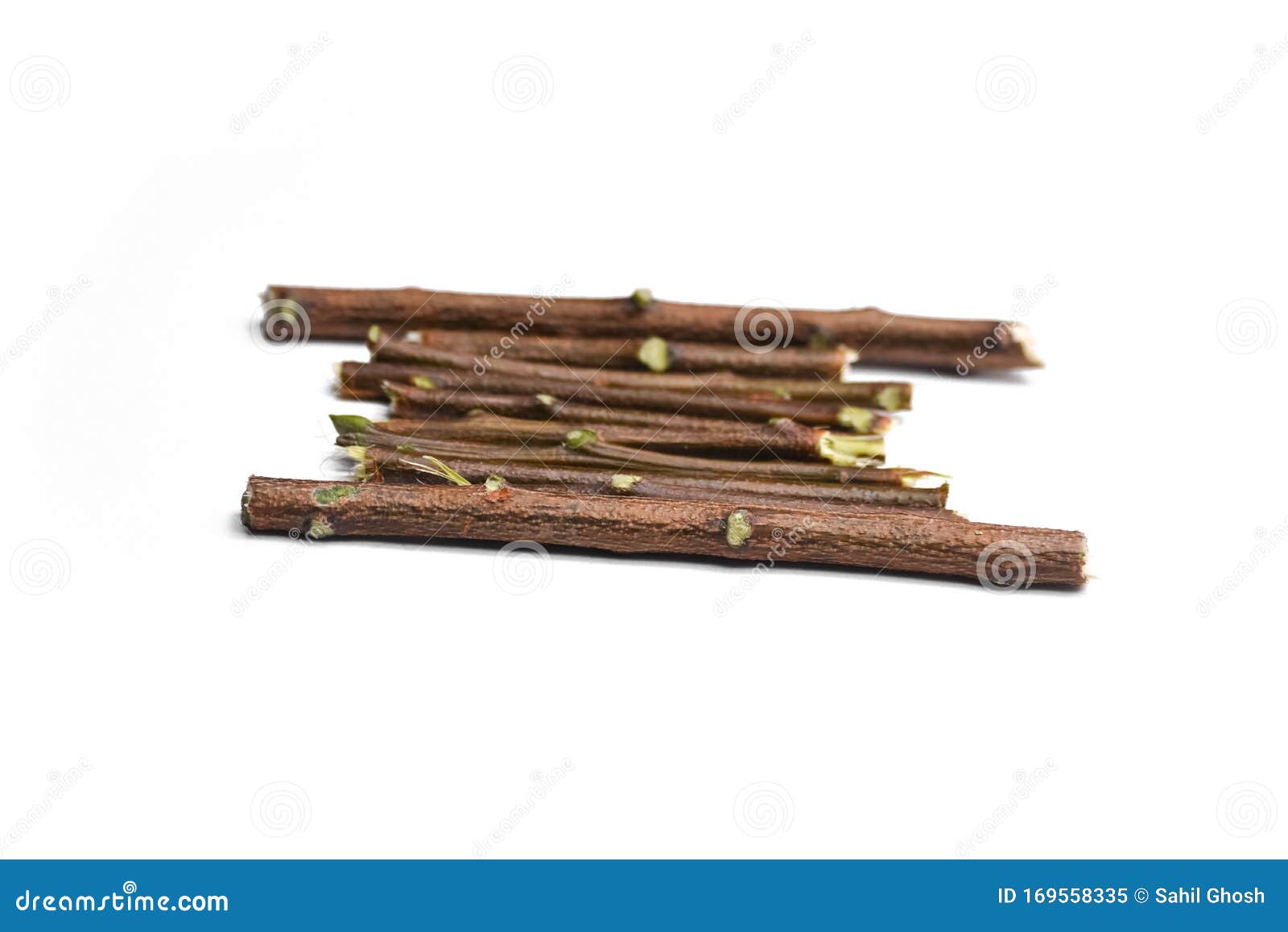 Neem sticks. stock image. Image of stick, teeth, natural - 169558335