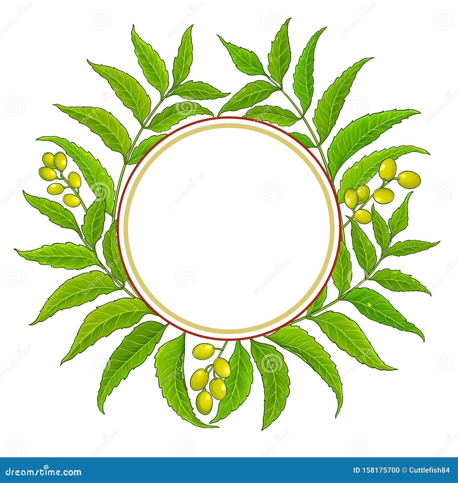 Neem vector frame stock vector. Illustration of alternative - 158175700