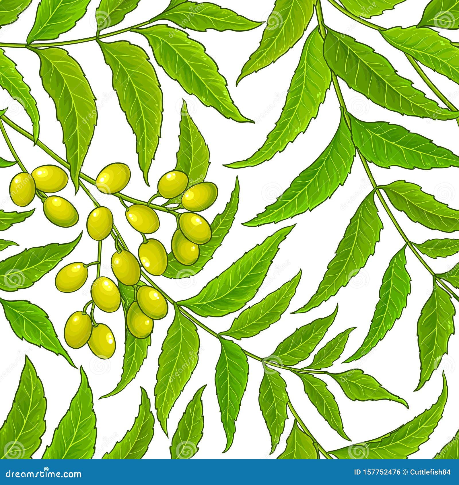 Neem vector pattern stock vector. Illustration of homeopathic - 157752476