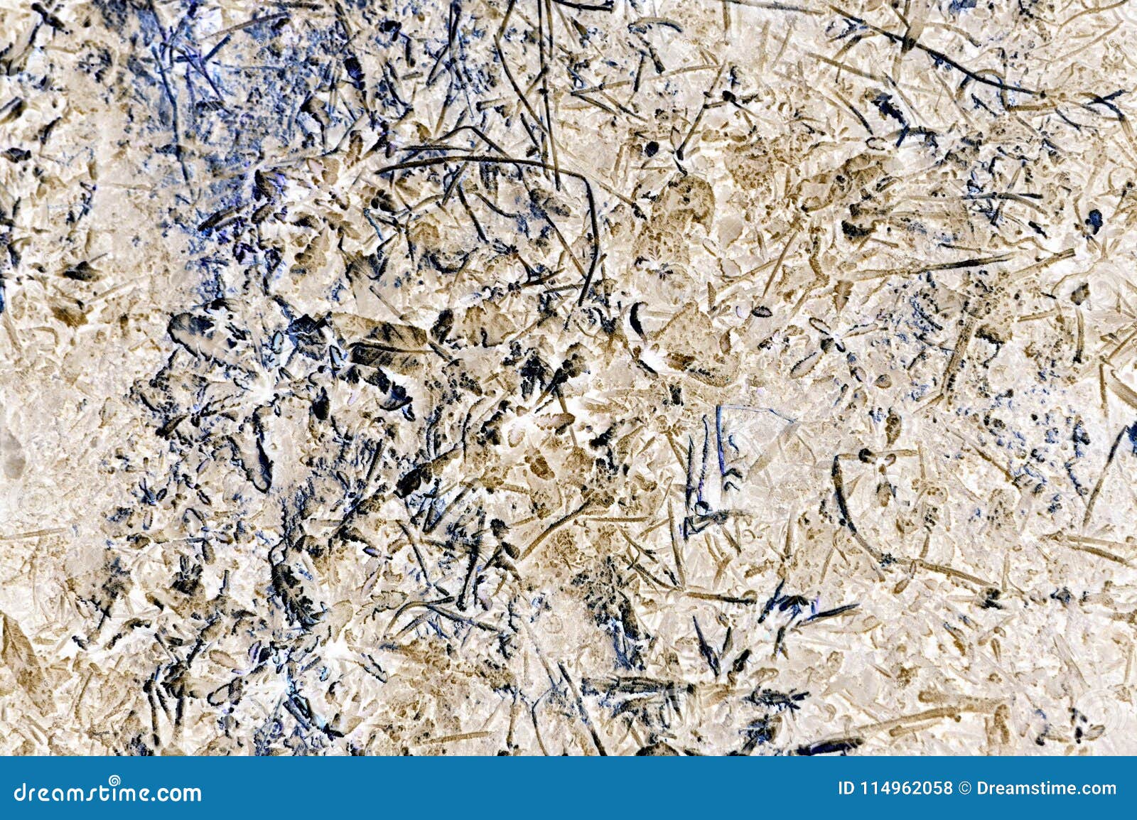 Negative Background Royalty-Free Stock Photo | CartoonDealer.com #53028261