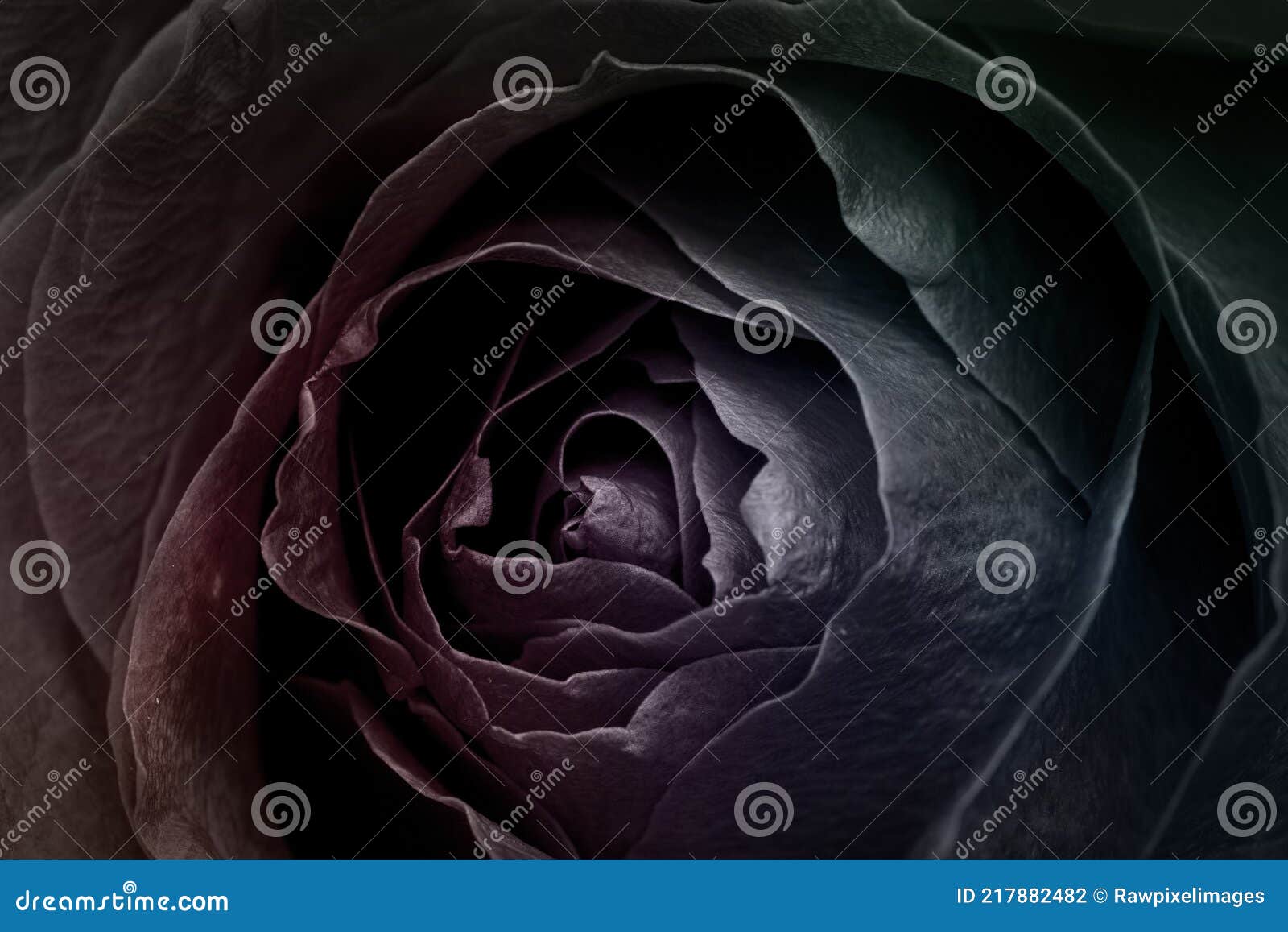 Negative Effect Floral Patterned Background Stock Photo - Image of ...