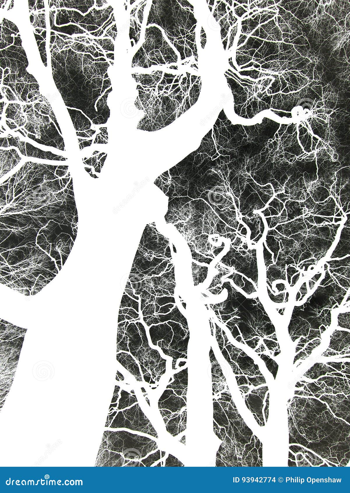 Twisted Tree Stock Photo | CartoonDealer.com #42388488
