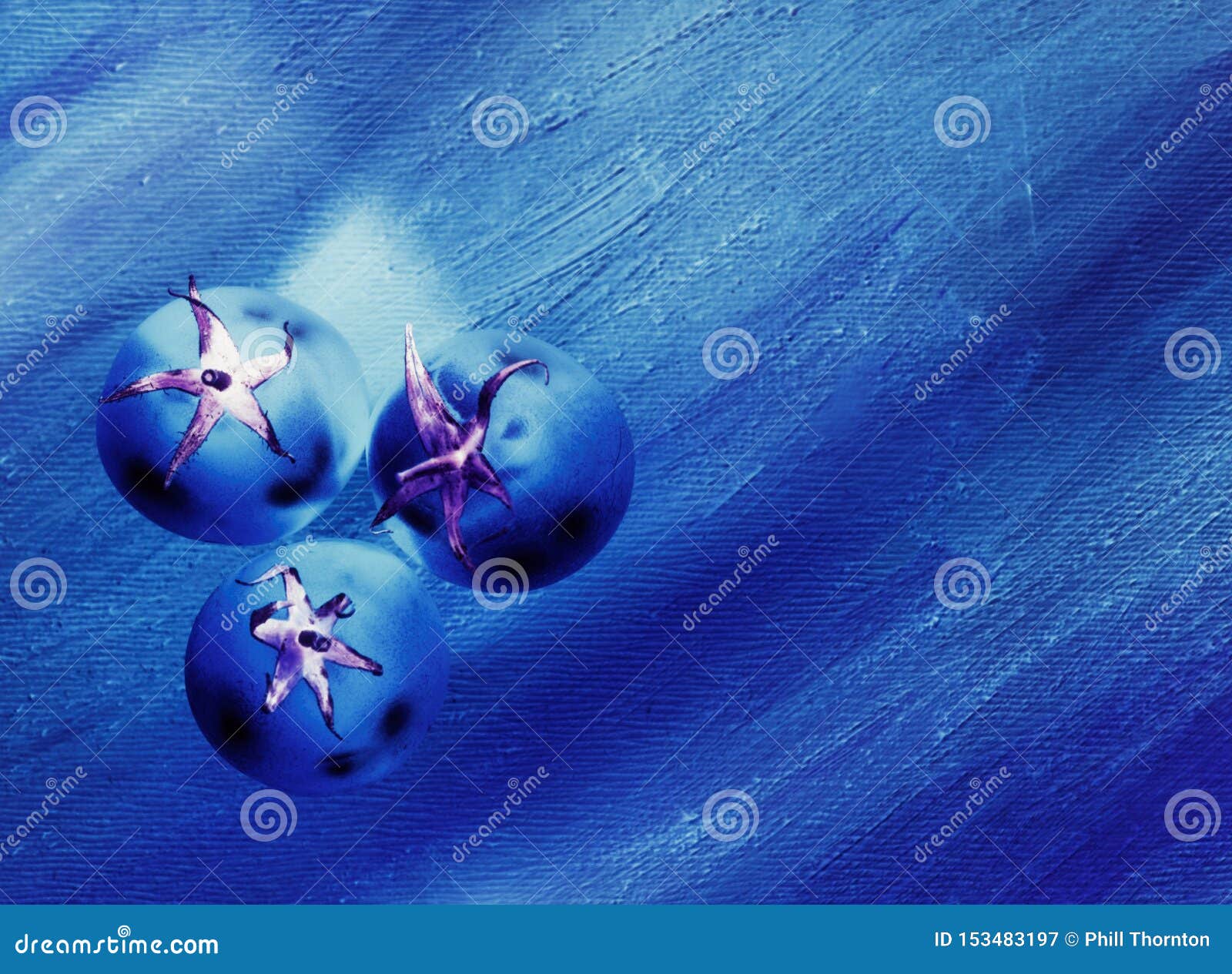 Negative Image of 3 Ocean Blue Tomatoes on a Textured Background Stock ...