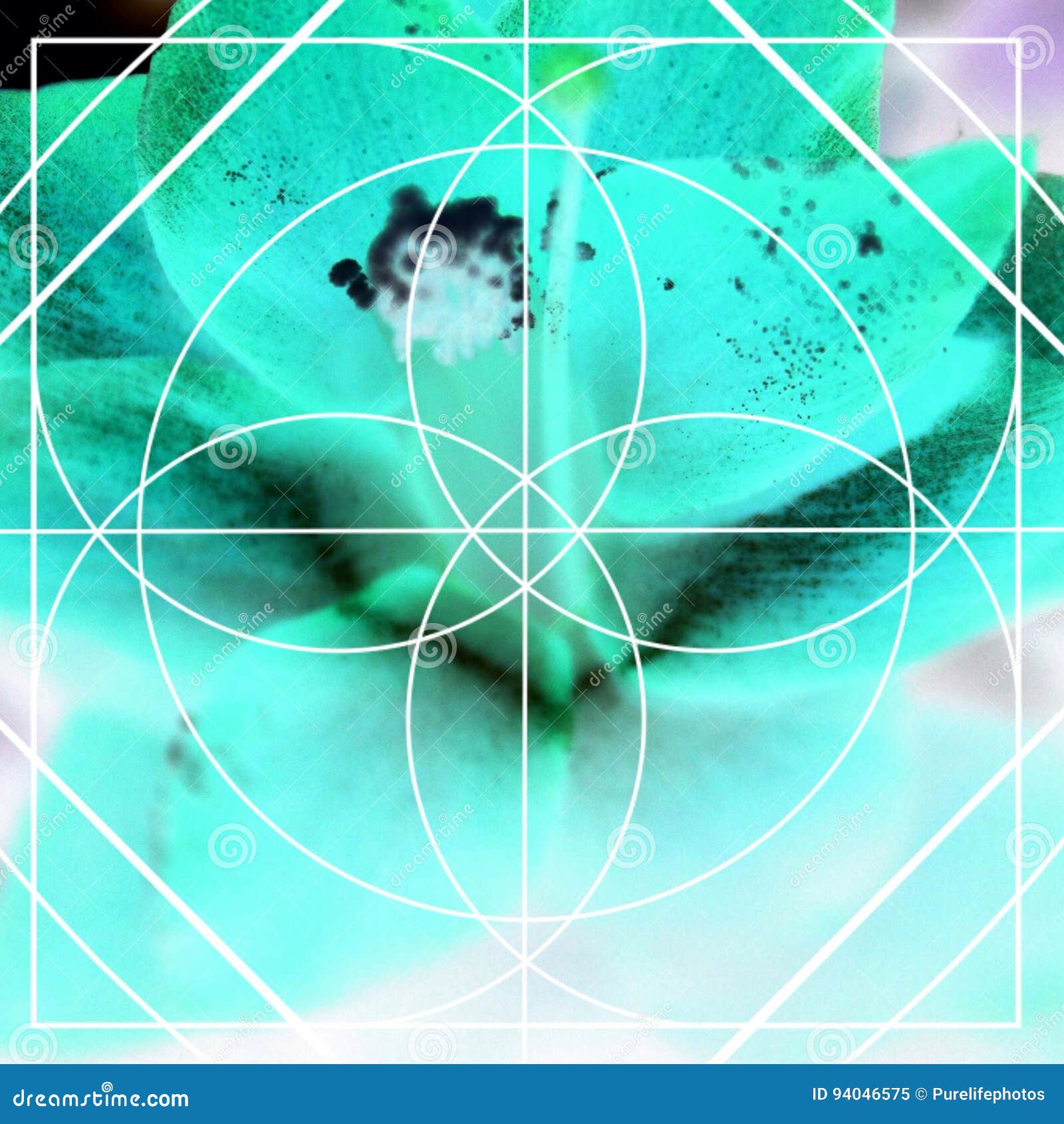 Negative Nature stock image. Image of geometric, artwork - 94046575