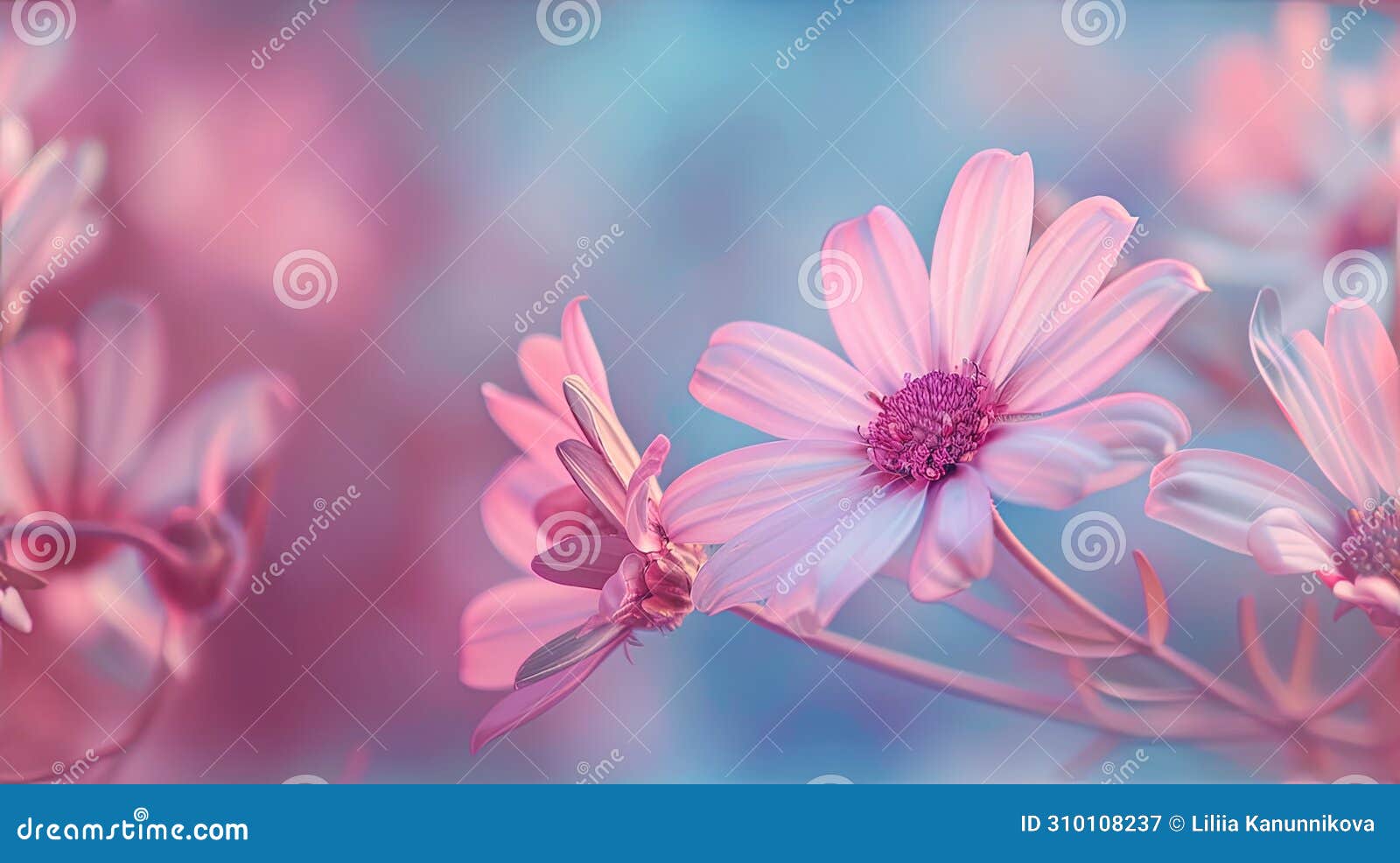 Negative Space Against a Soft Pastel Color Background in Realistic ...