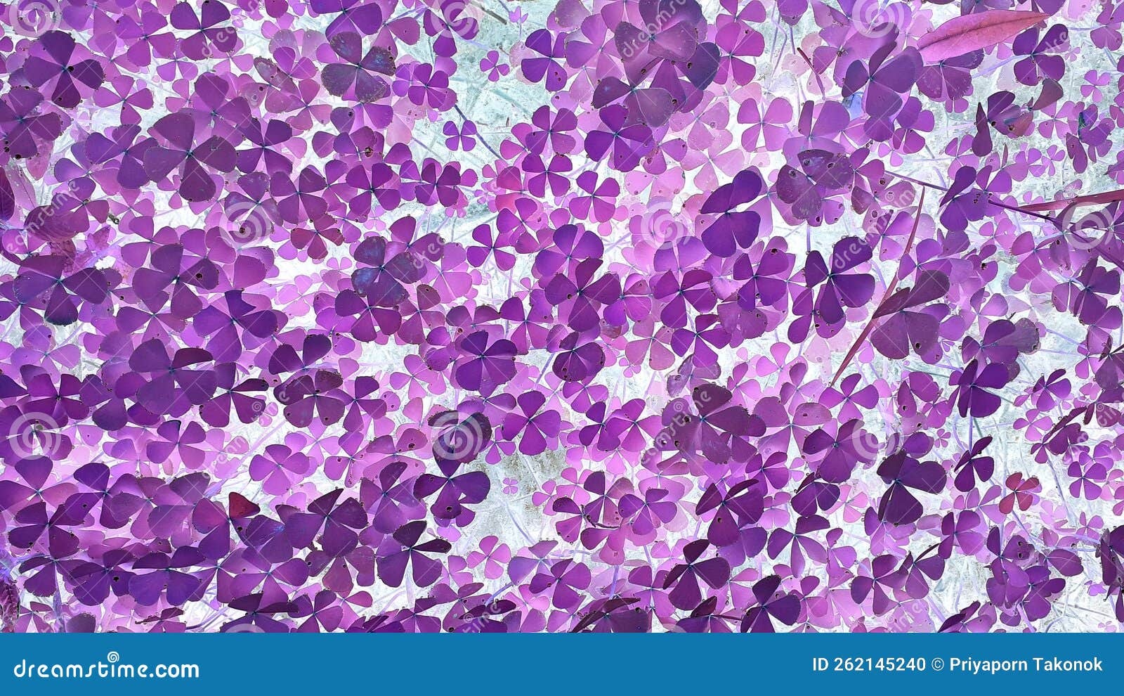 Negative Special Effect, with Image Abstract Purple Leaf Texture. Stock ...