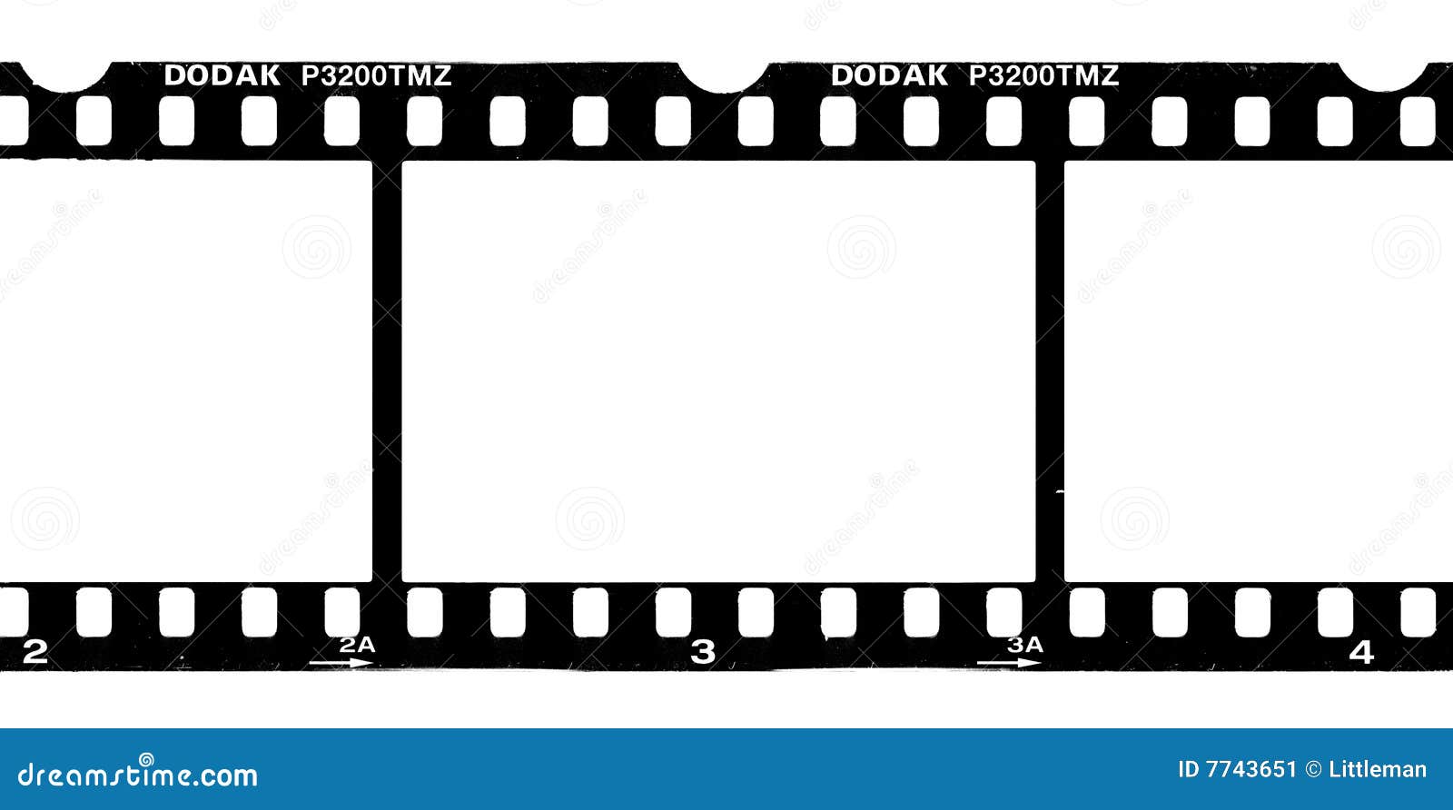 Imagem Negativa De Uma Fotografia - EDUCA