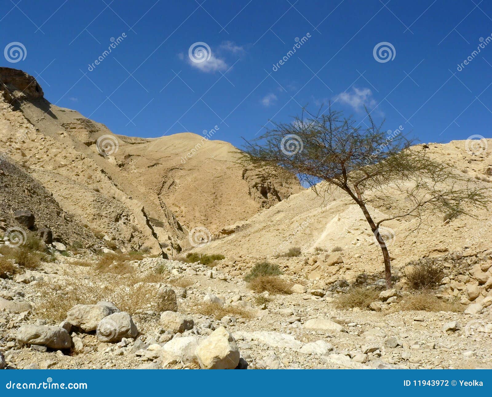 Negev Desert stock photo. Image of urban, area, palestine - 11943972