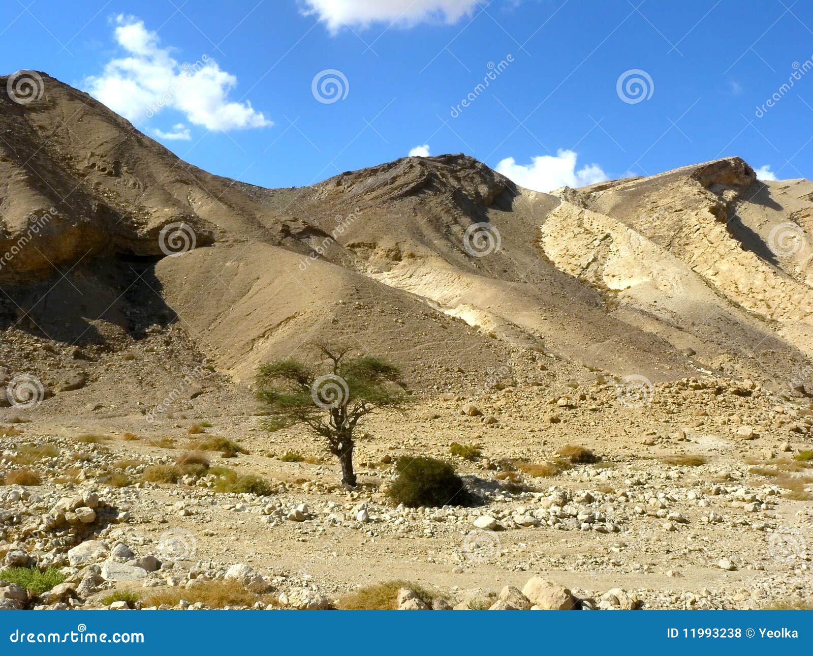 Negev Desert stock photo. Image of hiking, negev, scene - 11993238