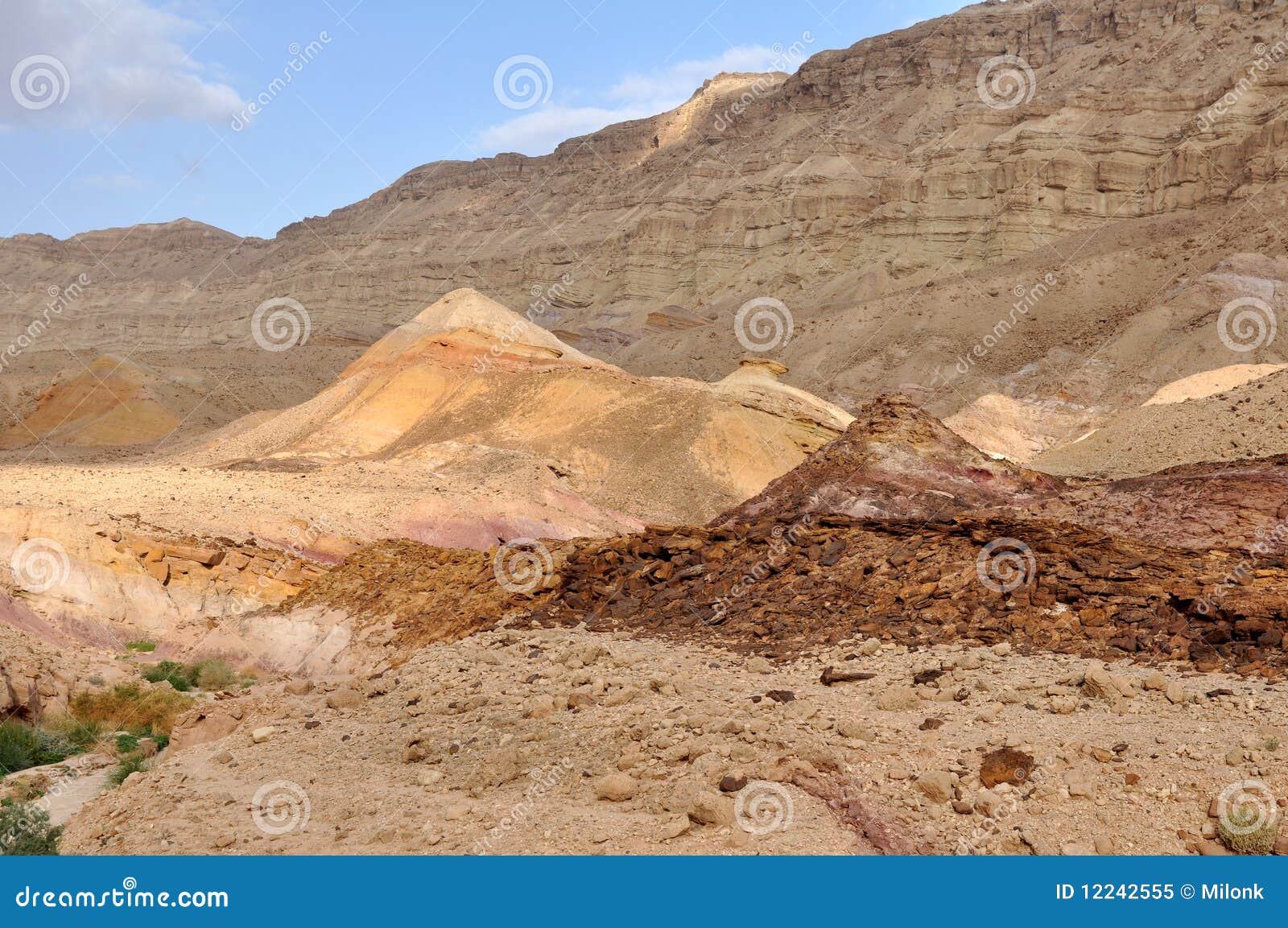 Negev Desert stock image. Image of middle, mountains - 12242555
