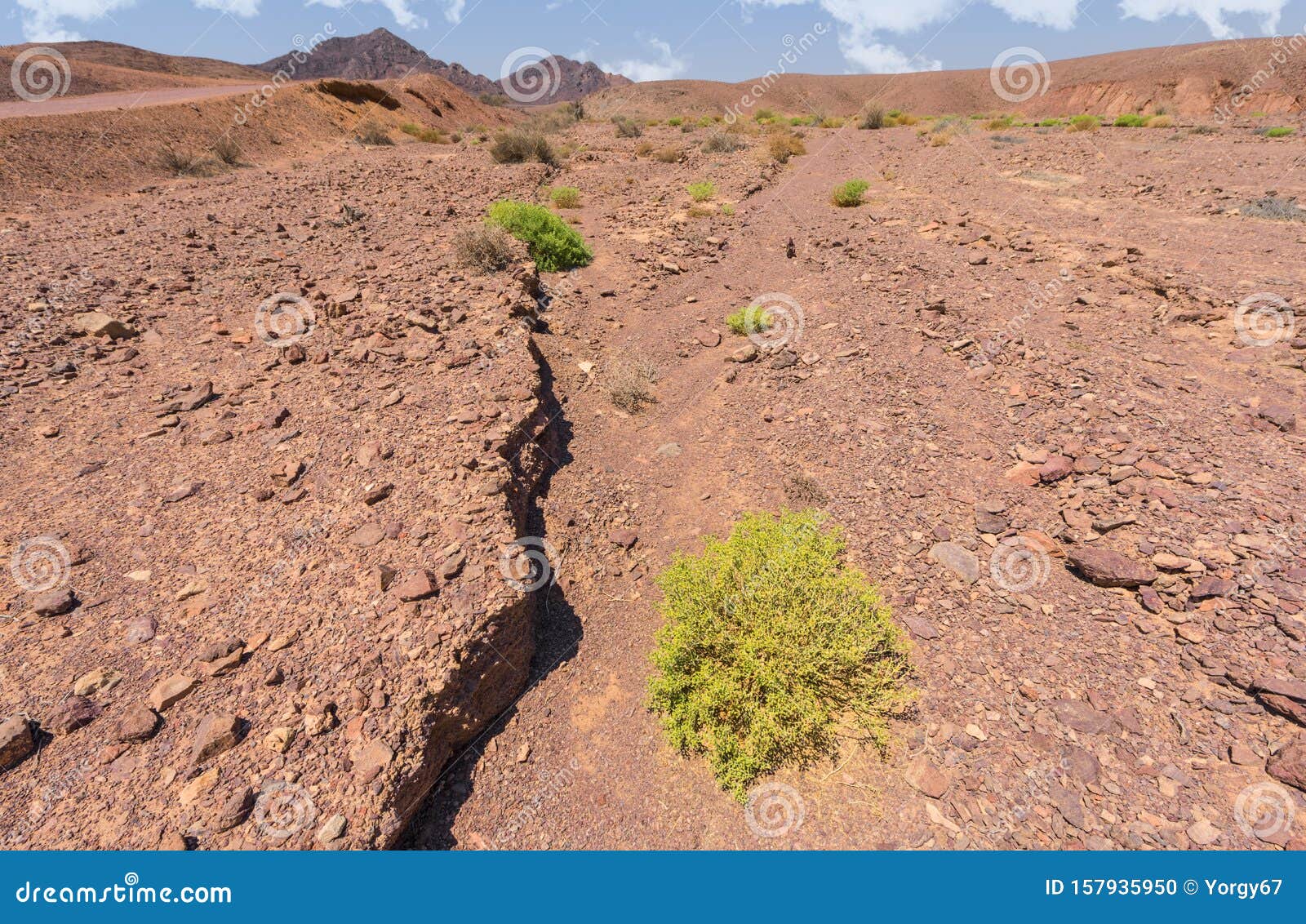 Arid Ground in Negev Desert Stock Photo - Image of land, countryside ...