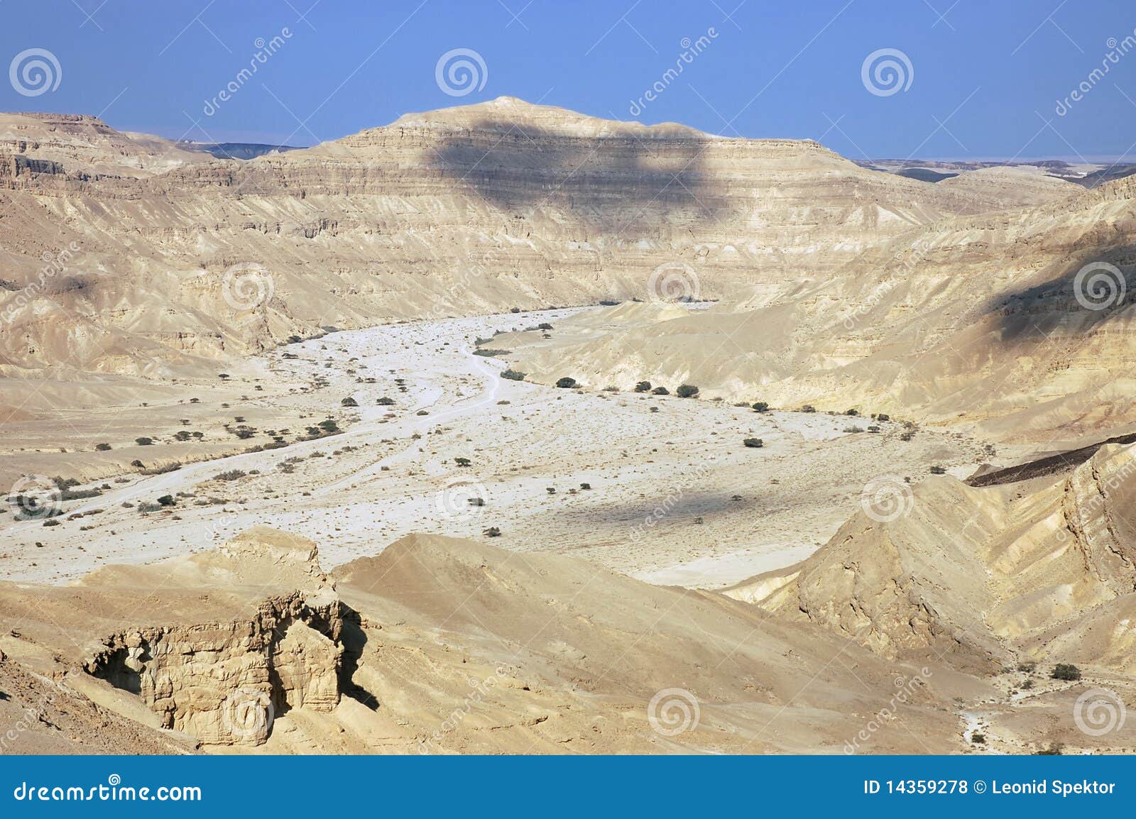 Negev desert, Israel. stock photo. Image of middle, natural - 14359278
