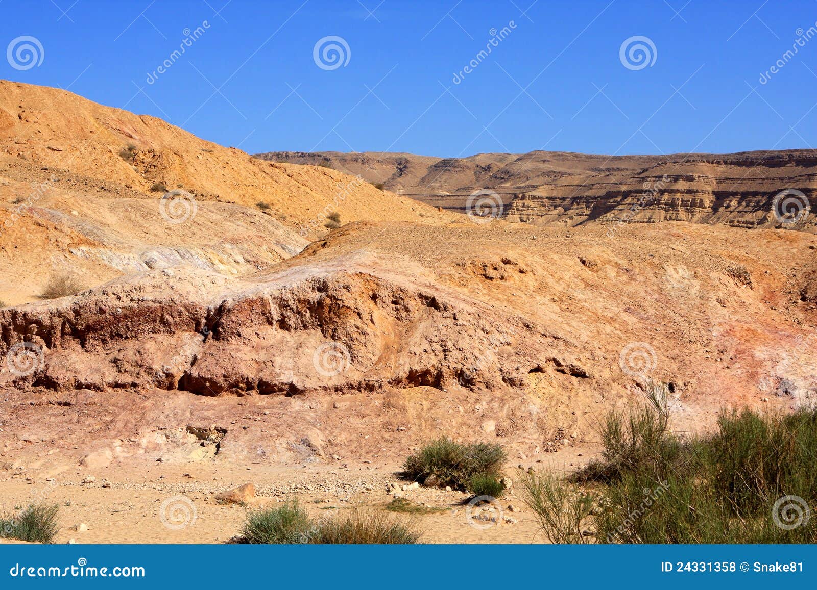 Negev desert, Israel stock photo. Image of landscape - 24331358