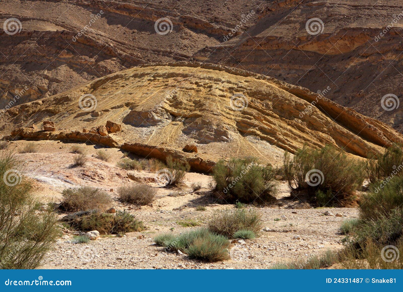Negev desert, Israel stock image. Image of adventure - 24331487