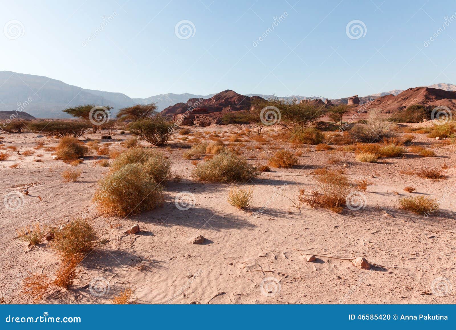 Negev desert, Israel stock photo. Image of mountains - 46585420