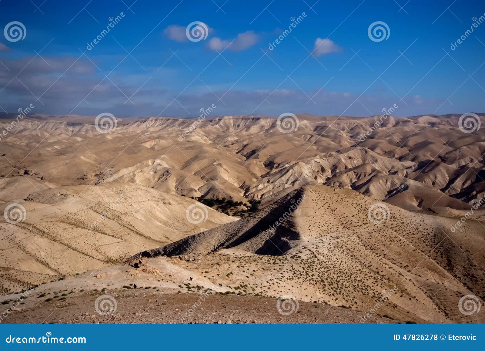Negev desert in Israel stock photo. Image of mountains - 47826278
