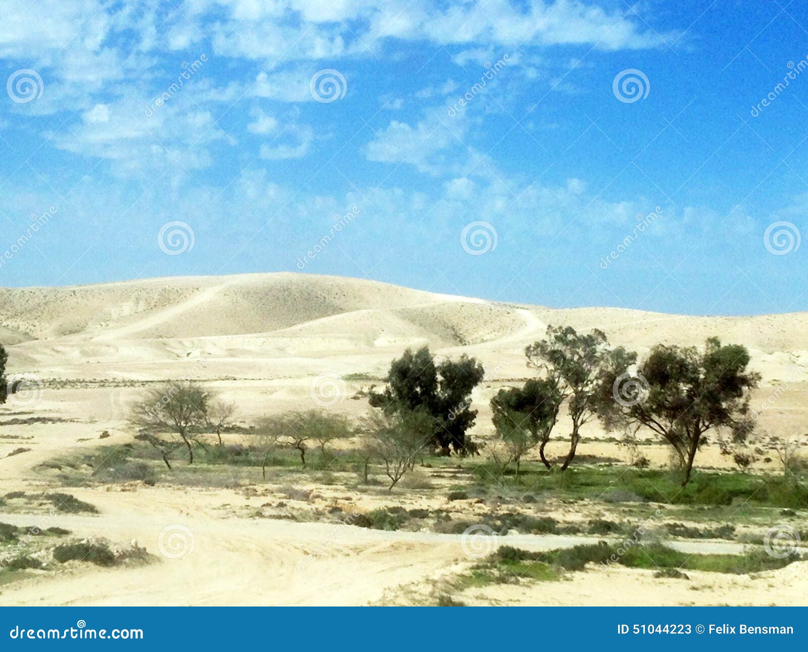 Negev Desert at the Spring on Blue Sky Background Stock Image - Image ...