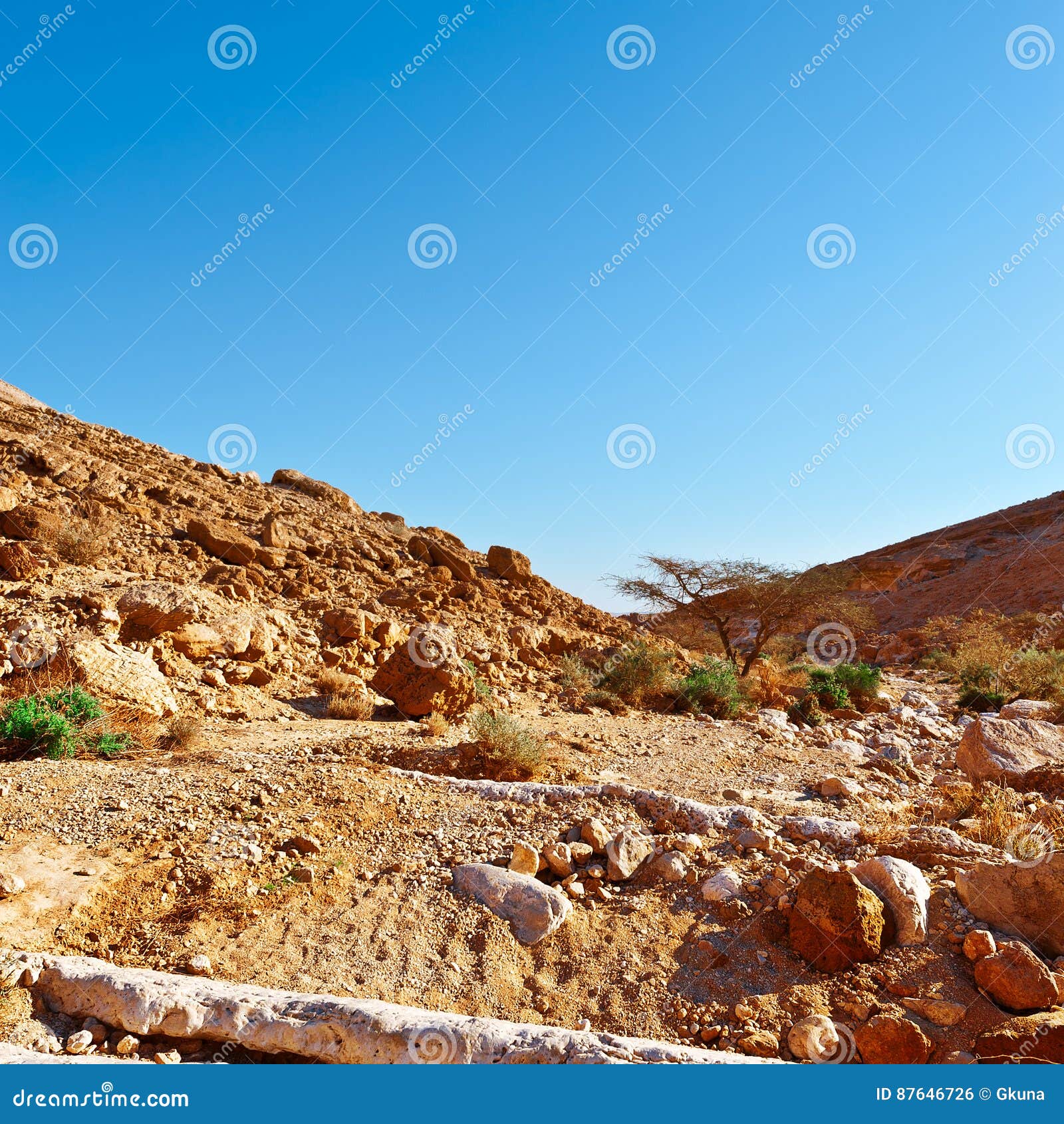 Negev Desert stock photo. Image of negev, danger, hill - 87646726
