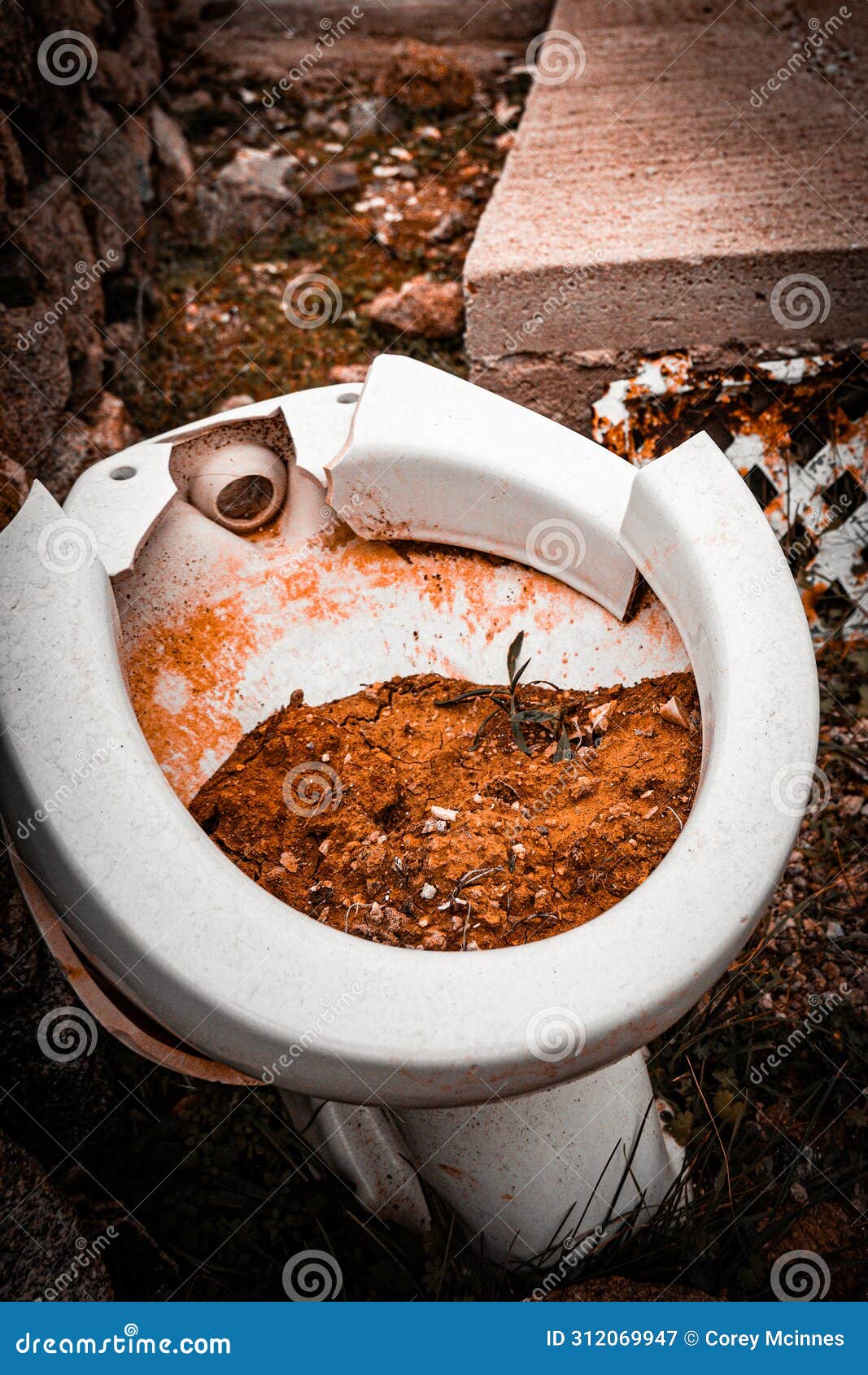 Neglect in Nature stock image. Image of filth, hazard - 312069947