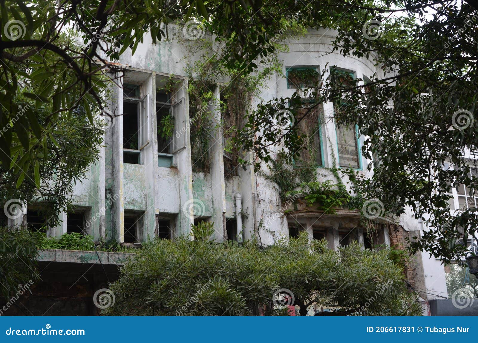 A Neglected Building, Once White, Now Stained And Crumbling Amidst Wild ...