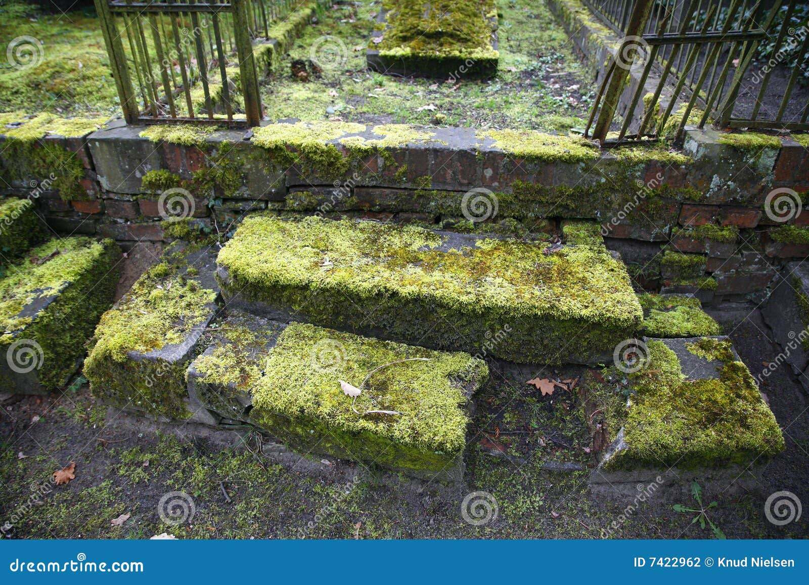Neglected Grave - Potsdam, Germany Stock Photo - Image of protestantism ...