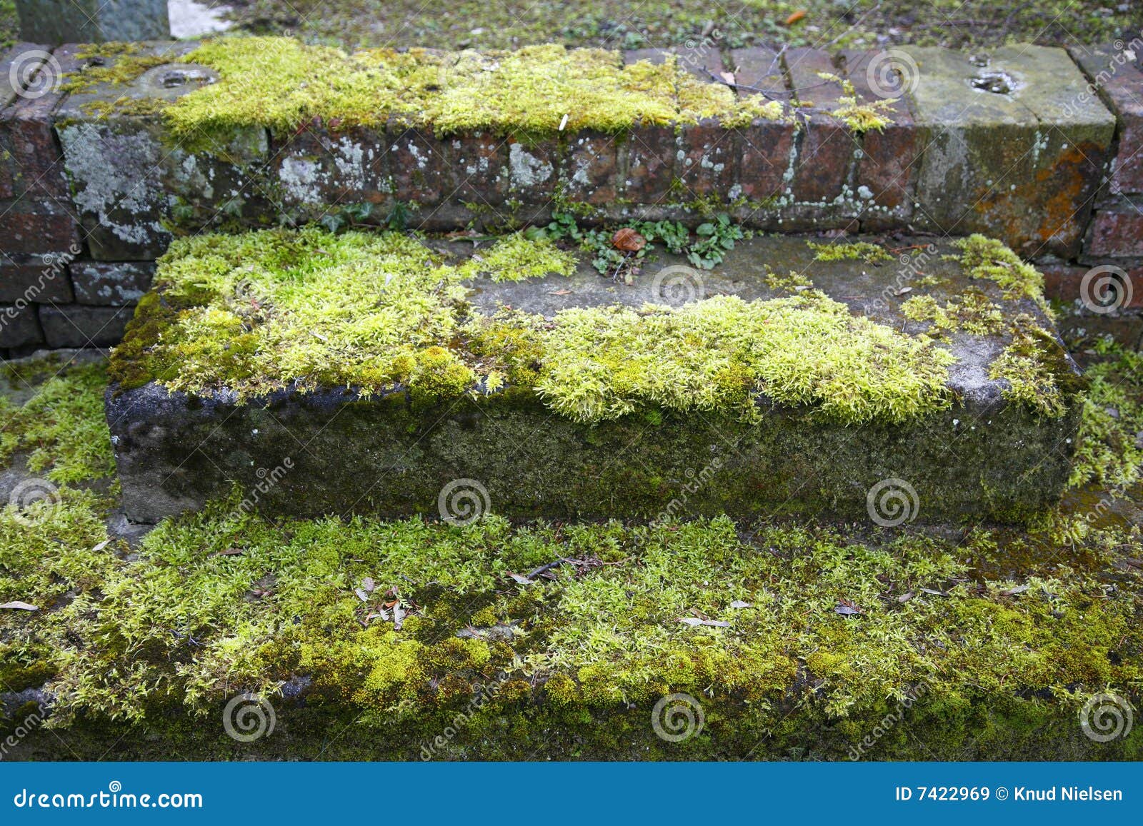 Neglected Grave - Potsdam, Germany Stock Image - Image of grave, life ...