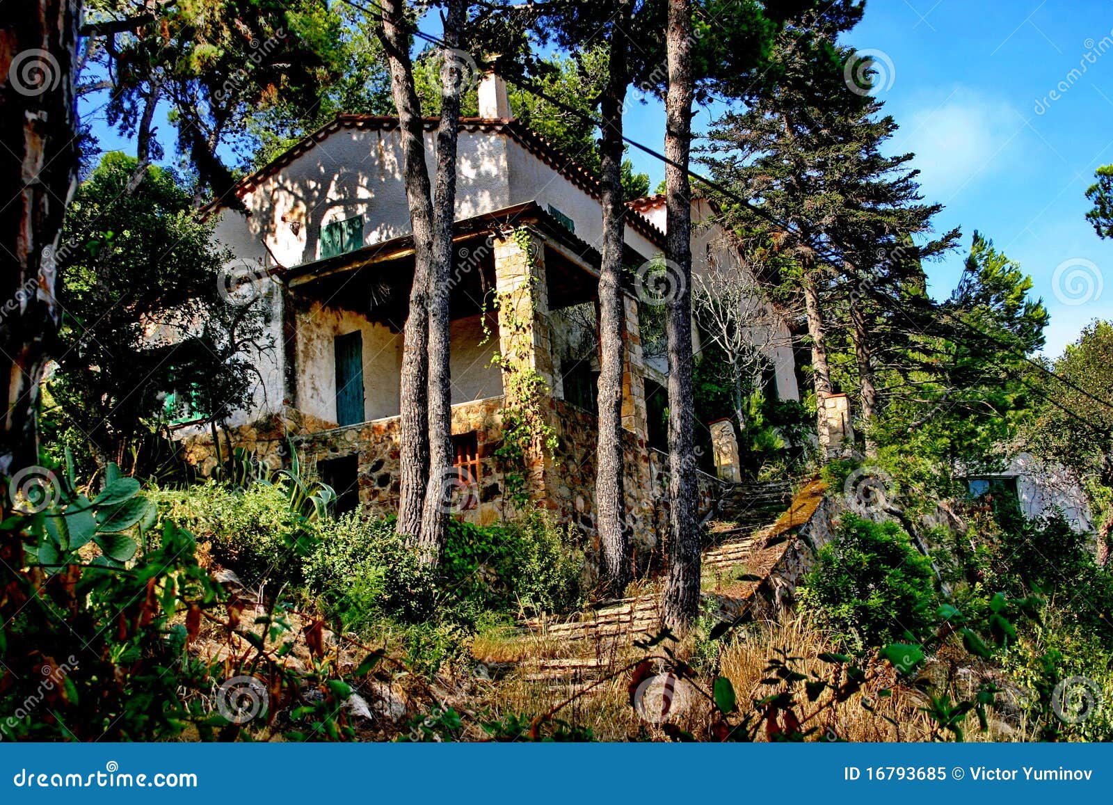 Neglected home stock image. Image of pine, bush, shrub - 16793685