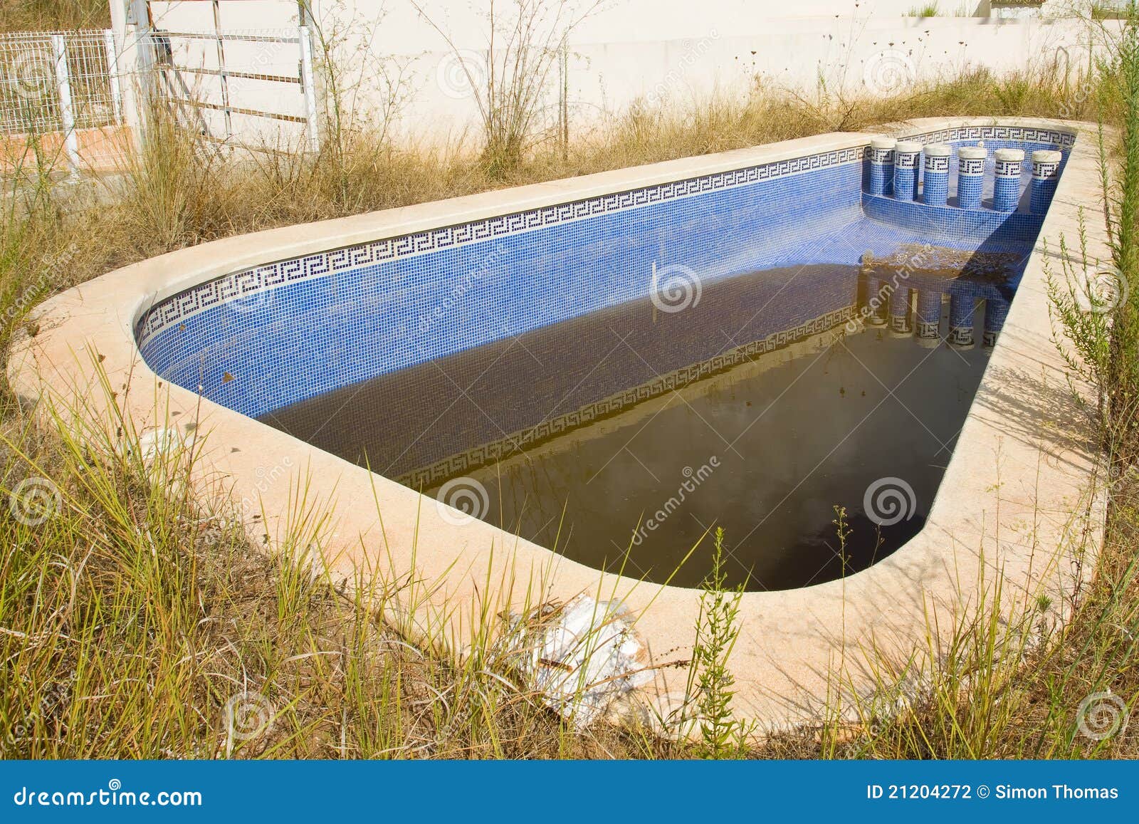 Neglected Swimming Pool stock photo. Image of swim, tiles - 21204272