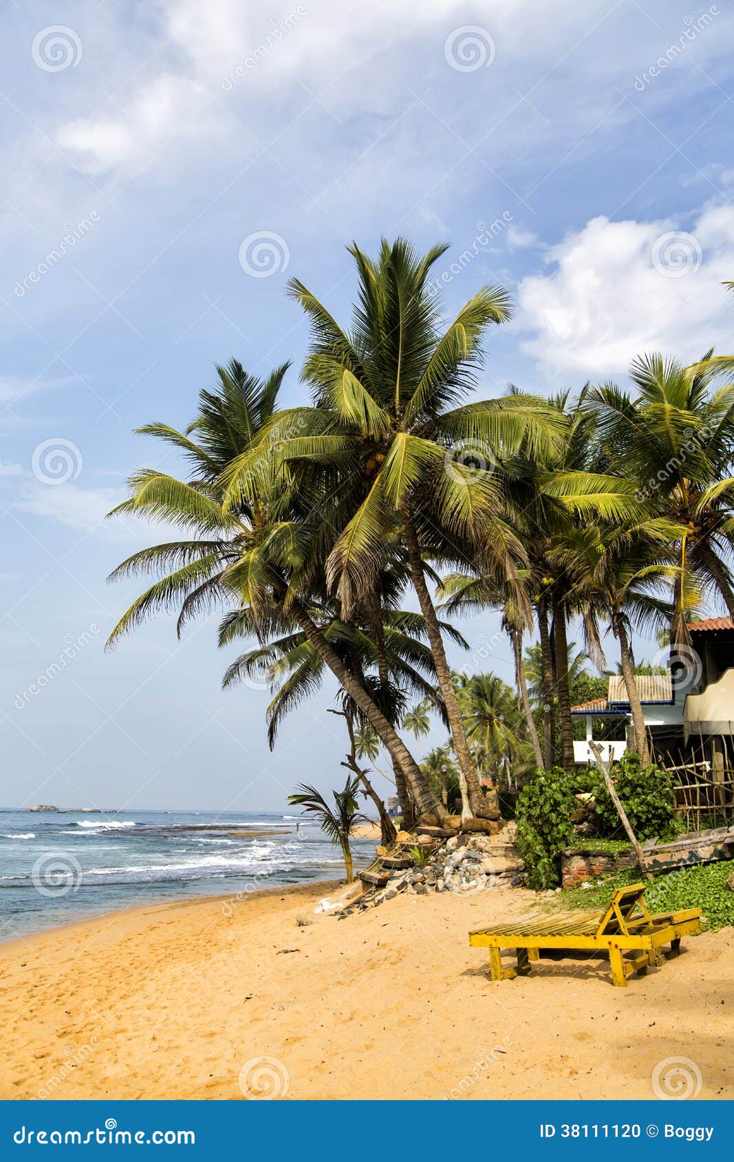 Negombo beach at Sri Lanka stock photo. Image of blue - 38111120