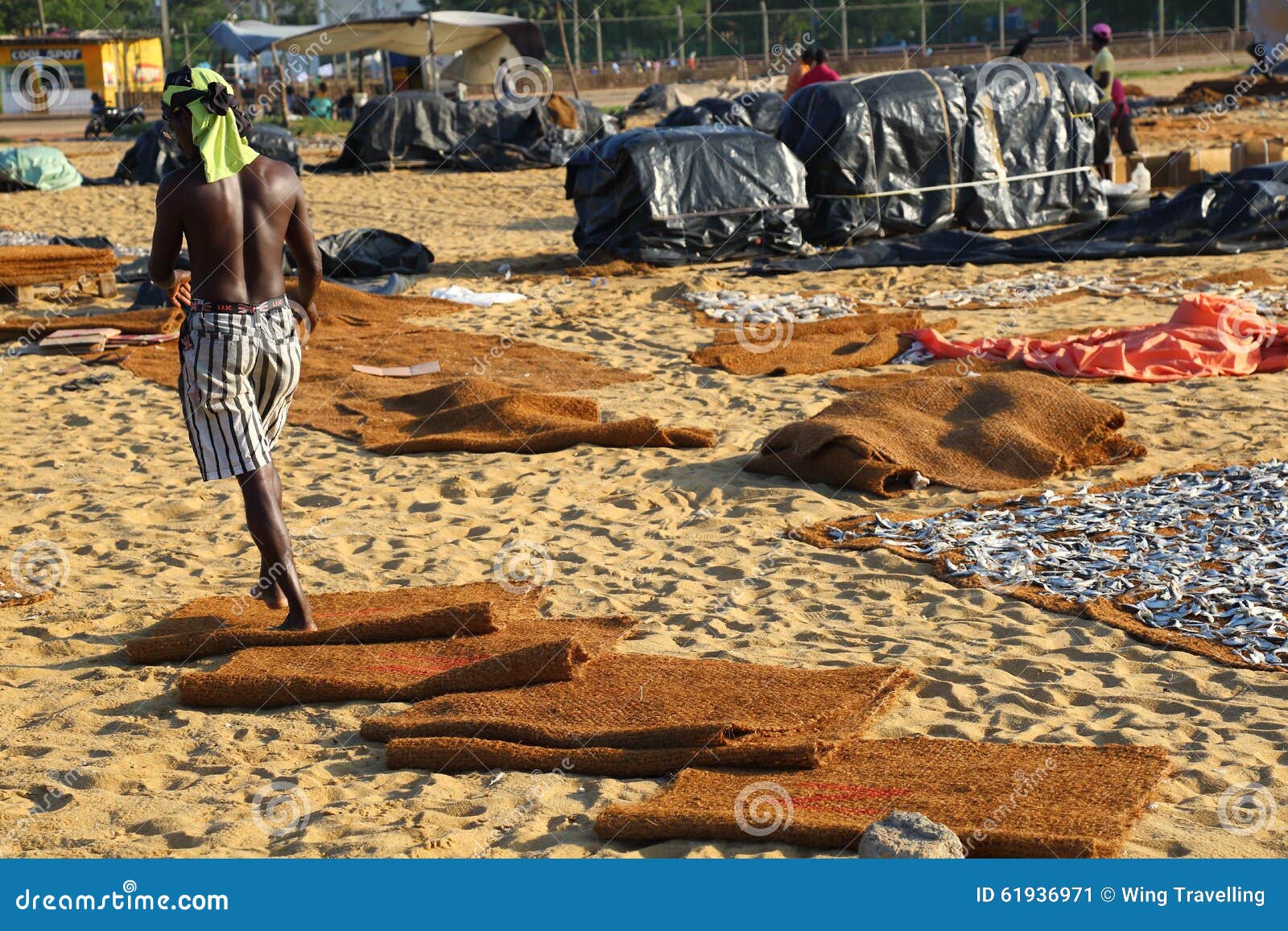 Negombo Fish Market editorial photo. Image of processed - 61936971