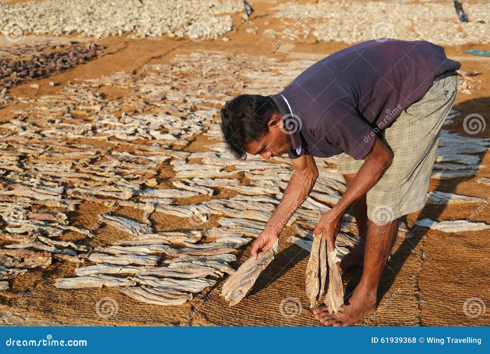 Negombo Fish Market editorial stock photo. Image of market - 61939368