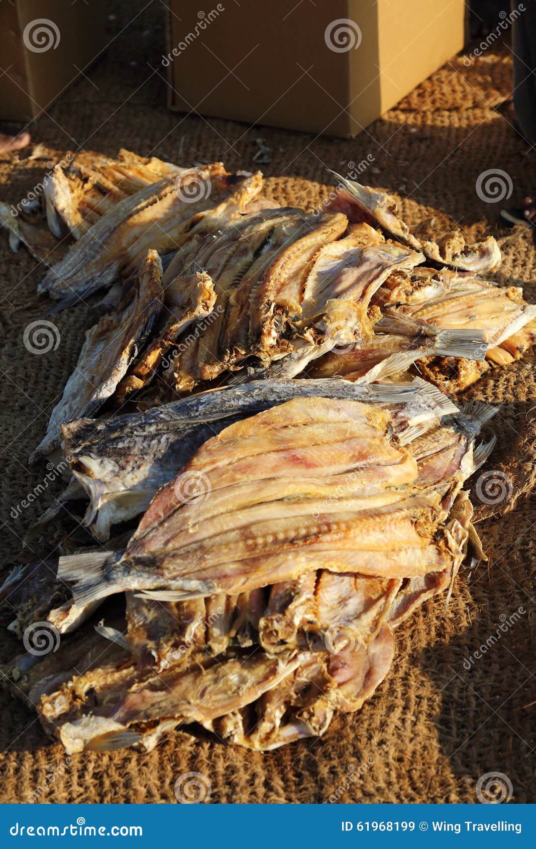 Negombo Fish Market stock image. Image of market, negombo - 61968199
