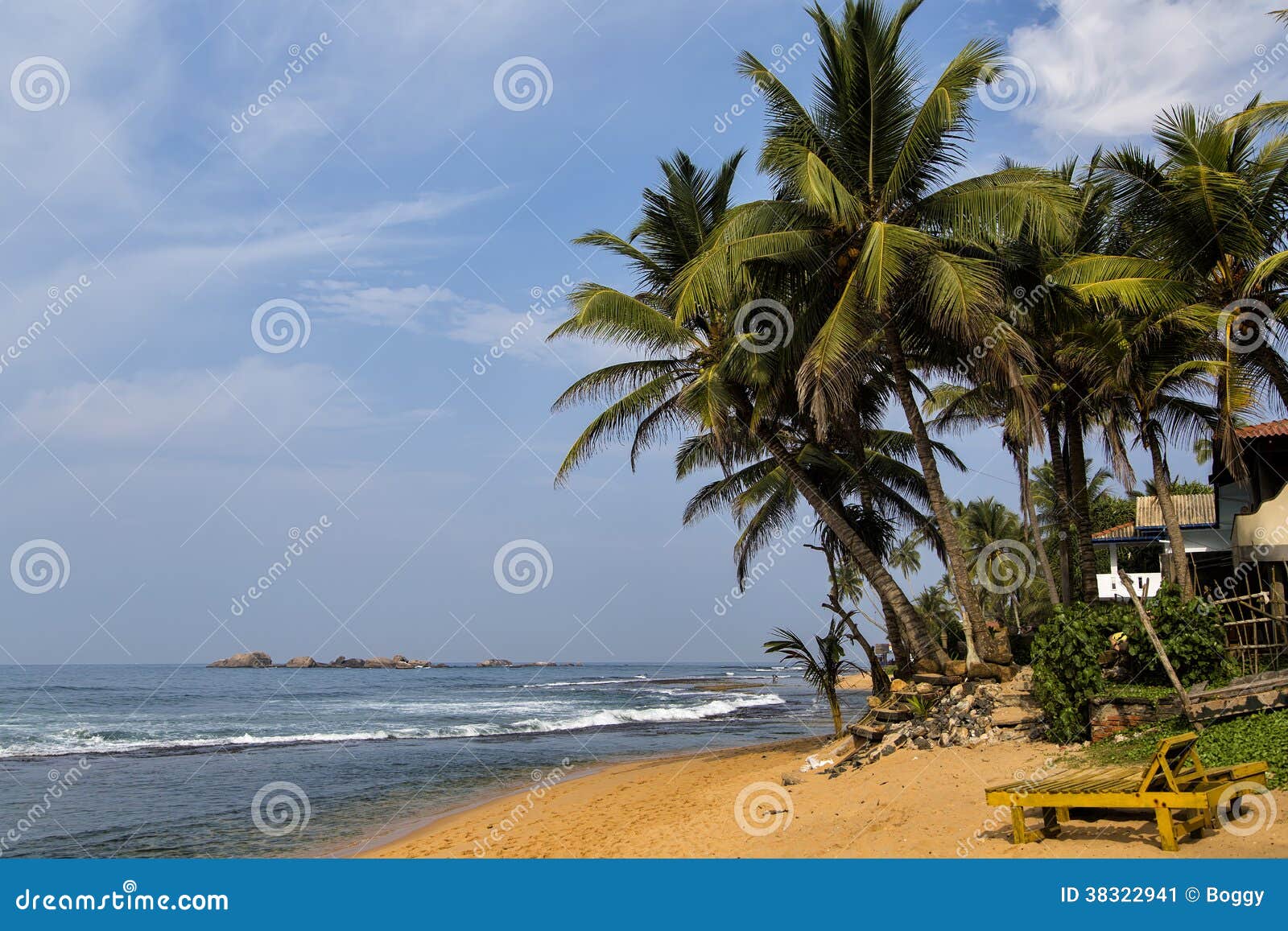 Negombo, Sri Lanka stock image. Image of plant, summer - 38322941