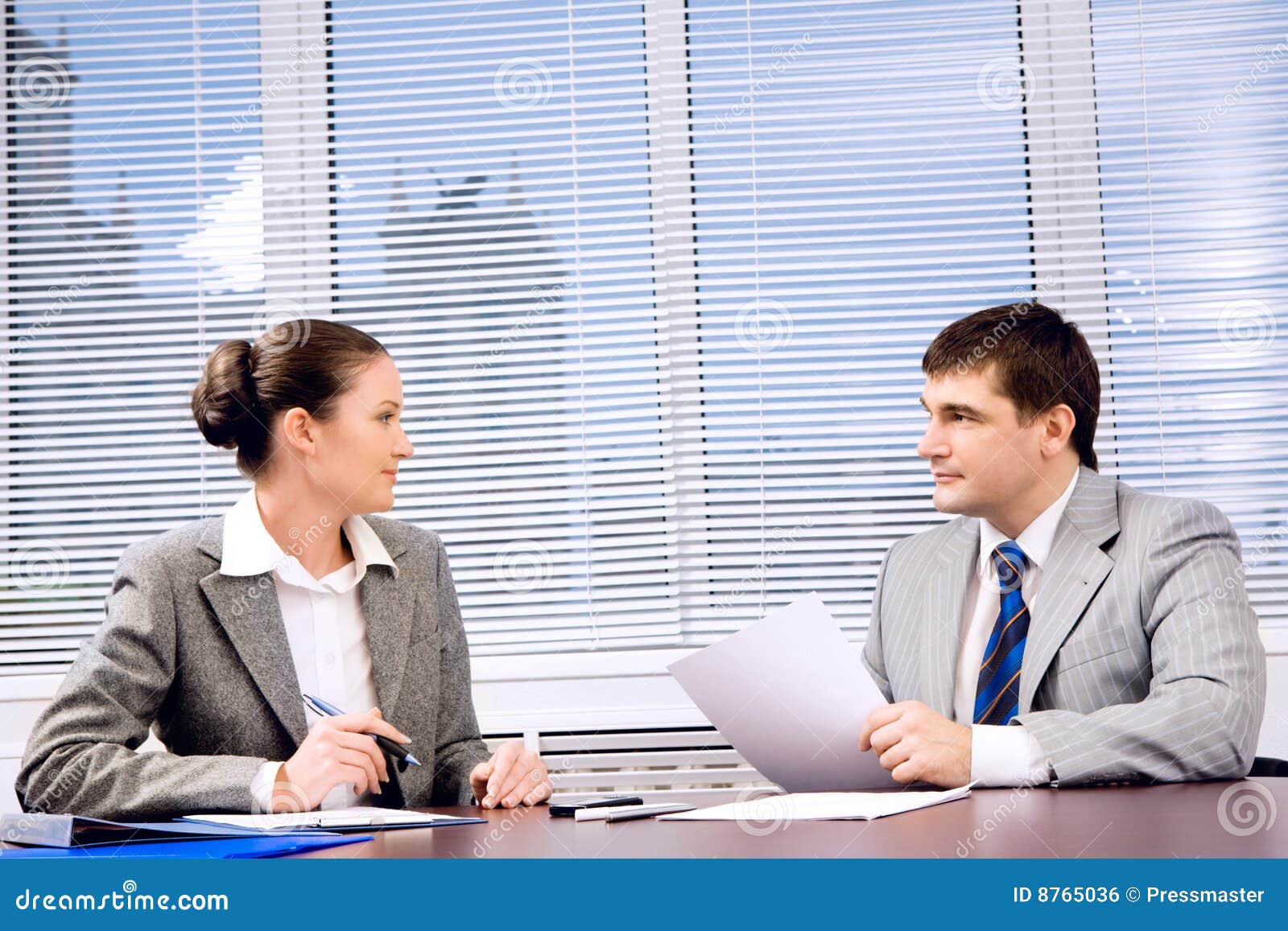 Negotiations stock photo. Image of meeting, executive - 8765036