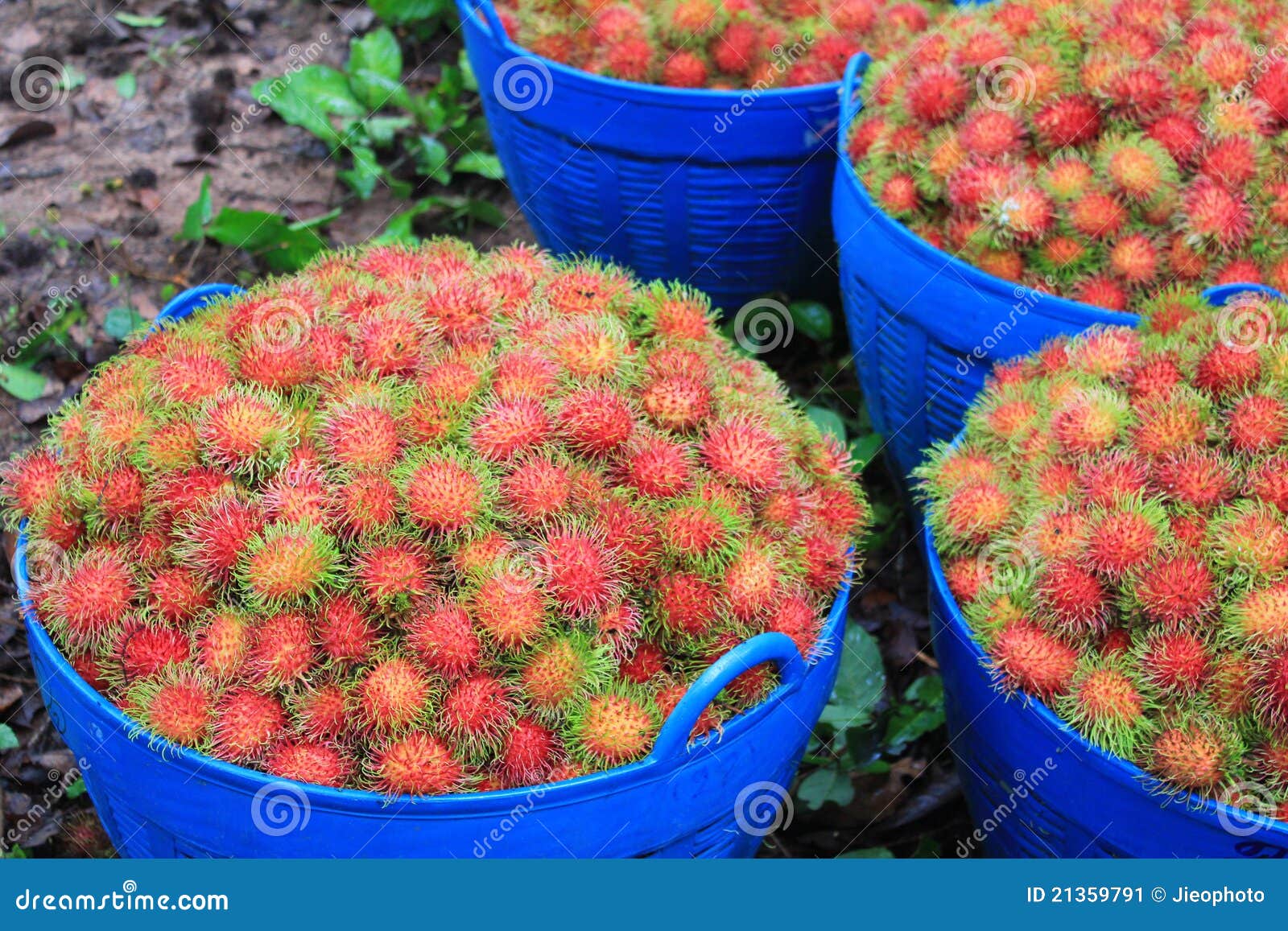 Negrito imagen de archivo. Imagen de sano, fresco, pelo - 21359791