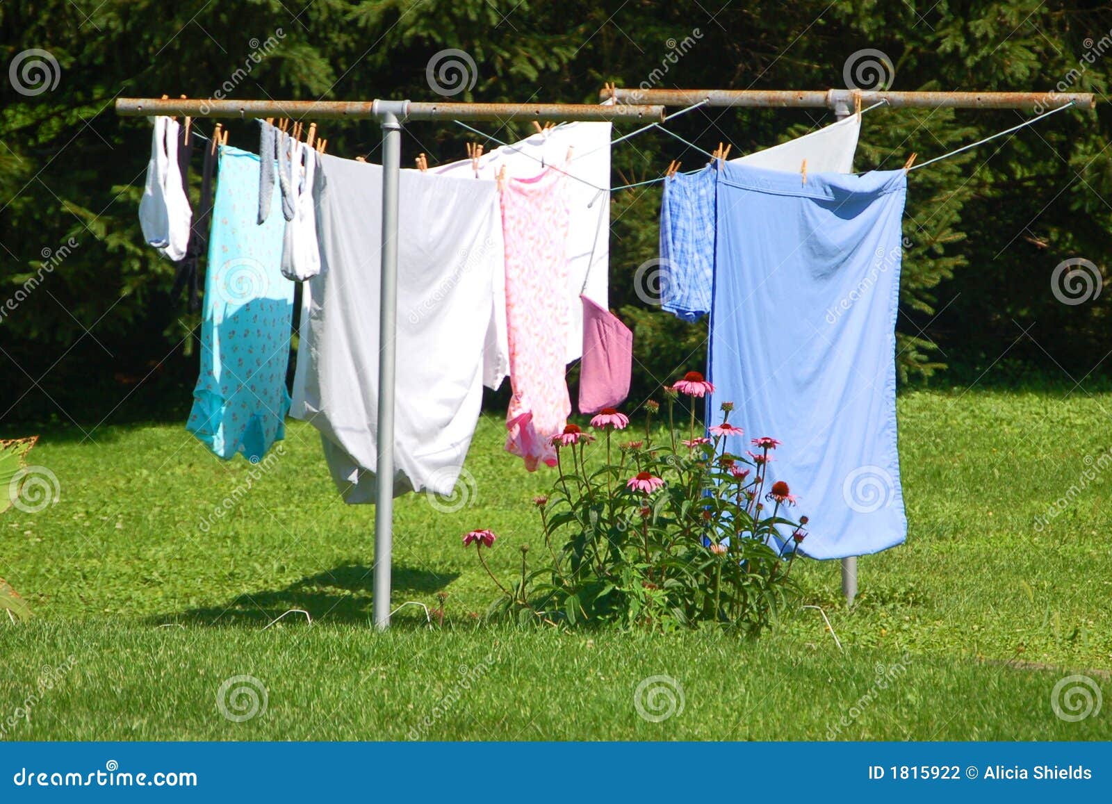 Neighbor s Laundry stock photo. Image of laundry, fresh - 1815922