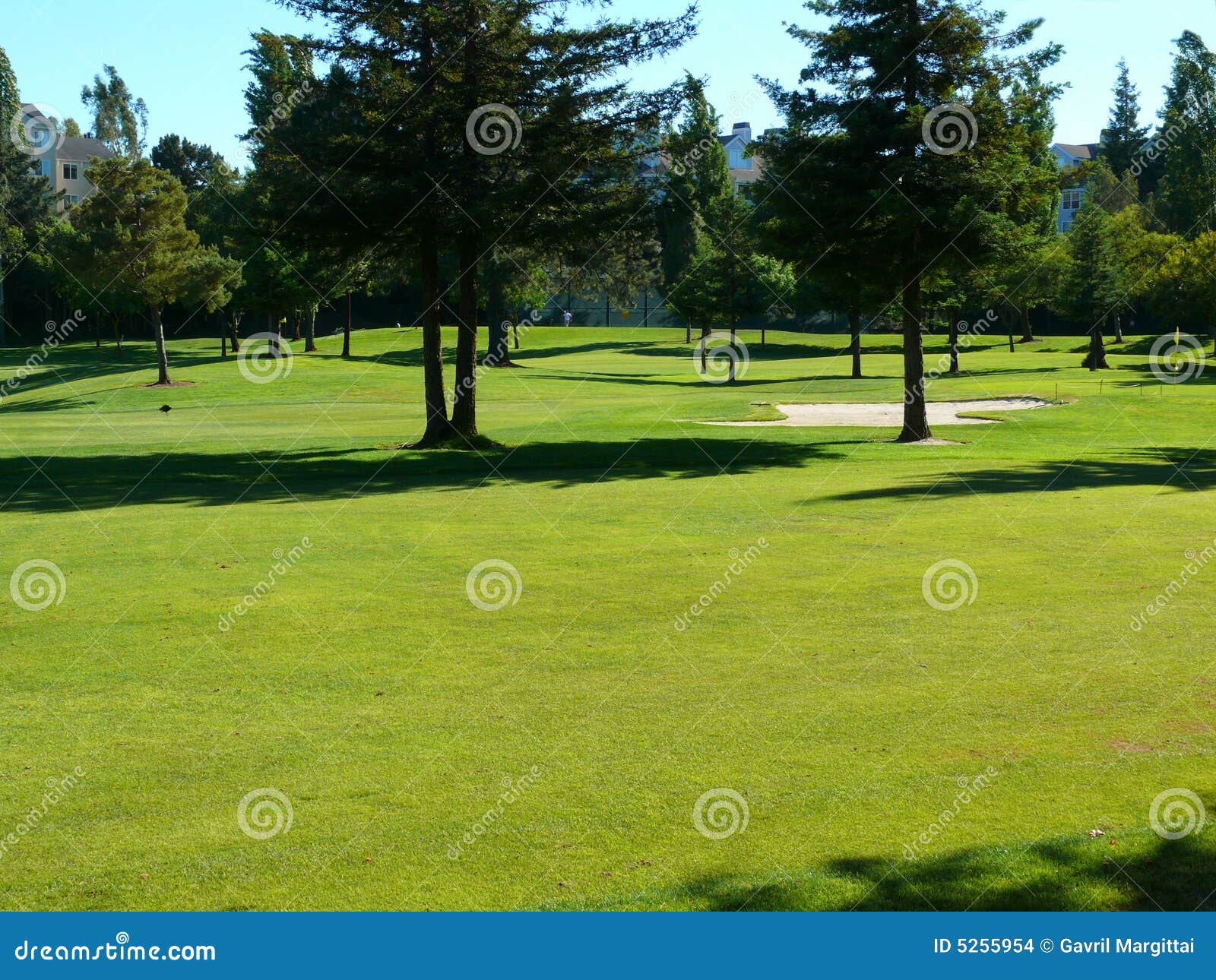 Neighborhood golf course stock photo. Image of trap, green - 5255954