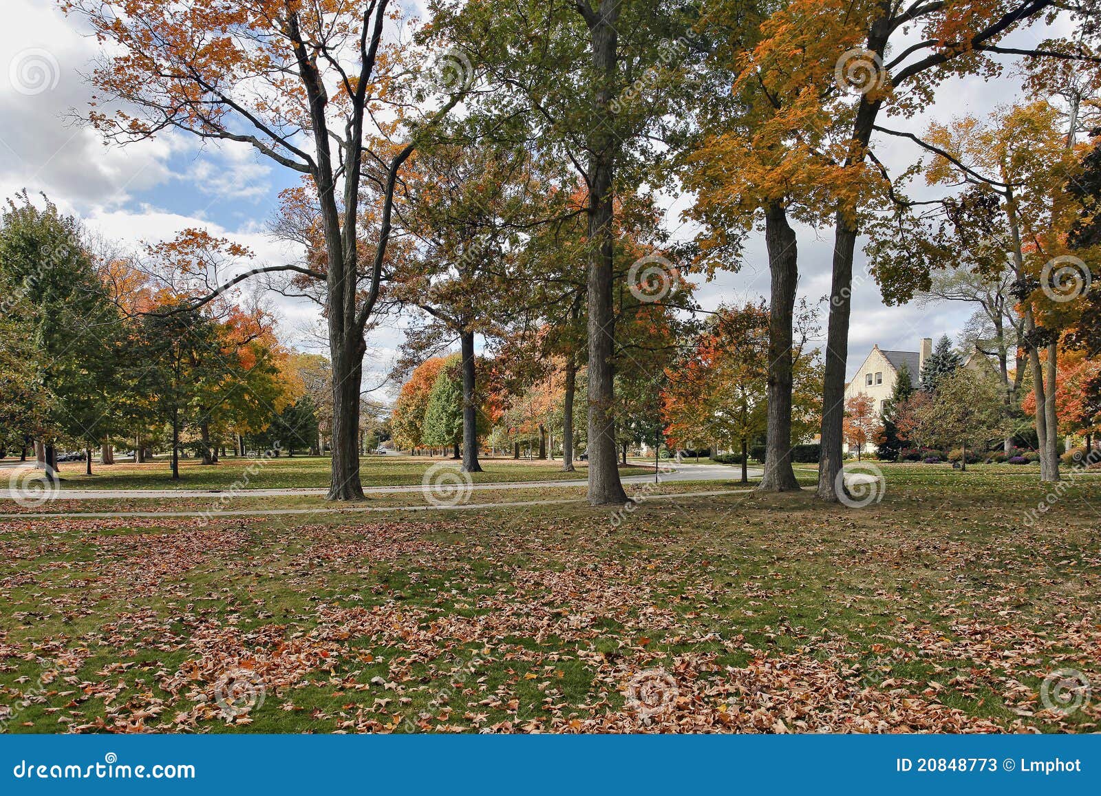 Neighborhood Scene with Fall Colors Stock Image - Image of luxurious ...