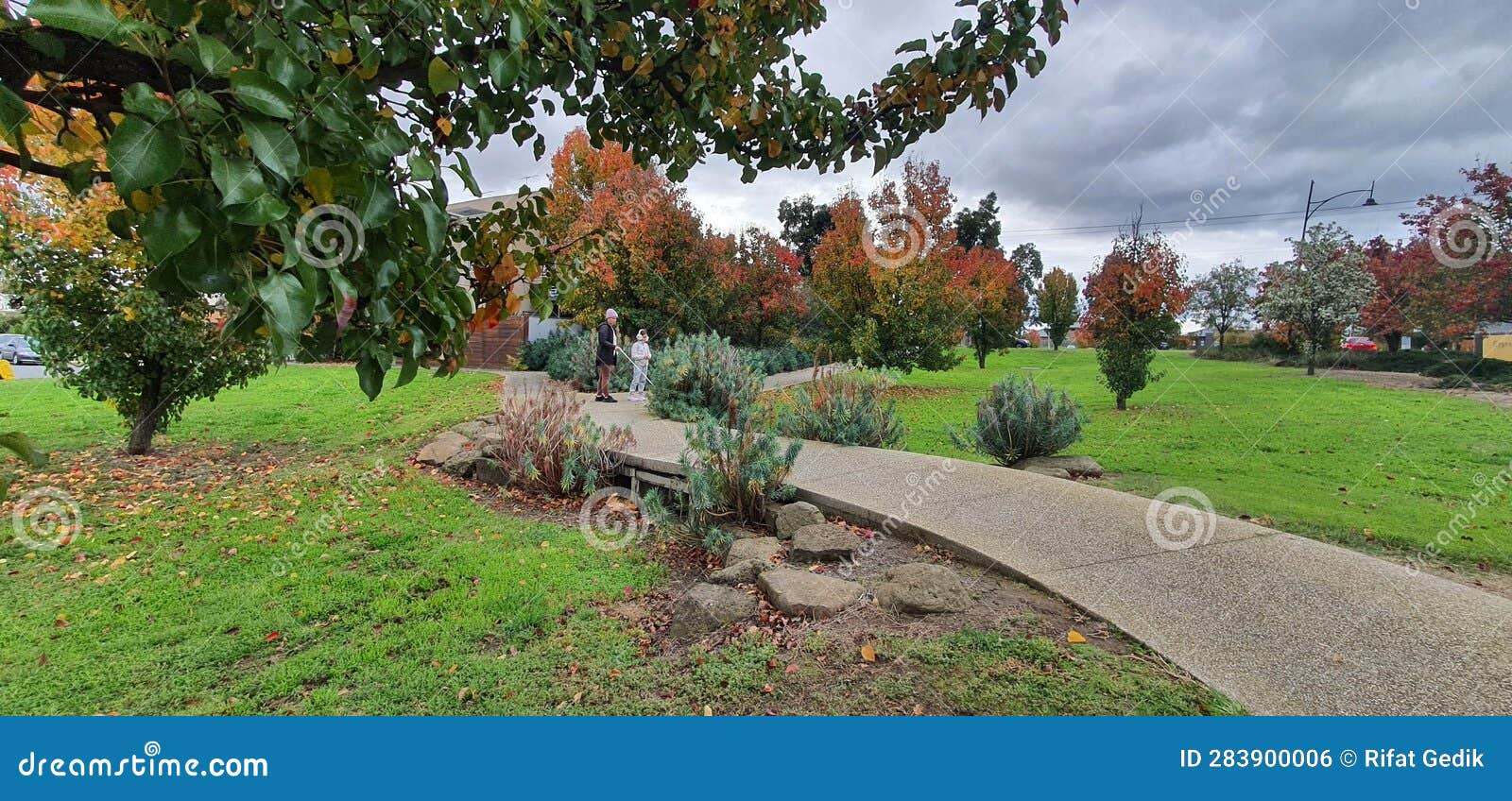Neighbourhood landscape stock photo. Image of trees - 283900006
