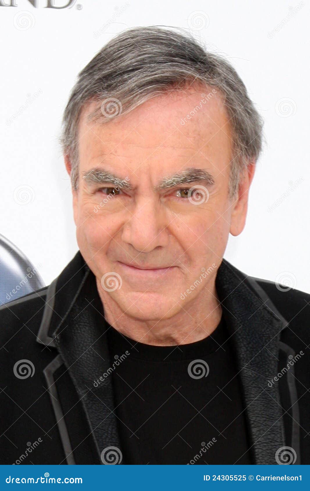 Neil Diamond editorial image. Image of diamond, arena - 24305525