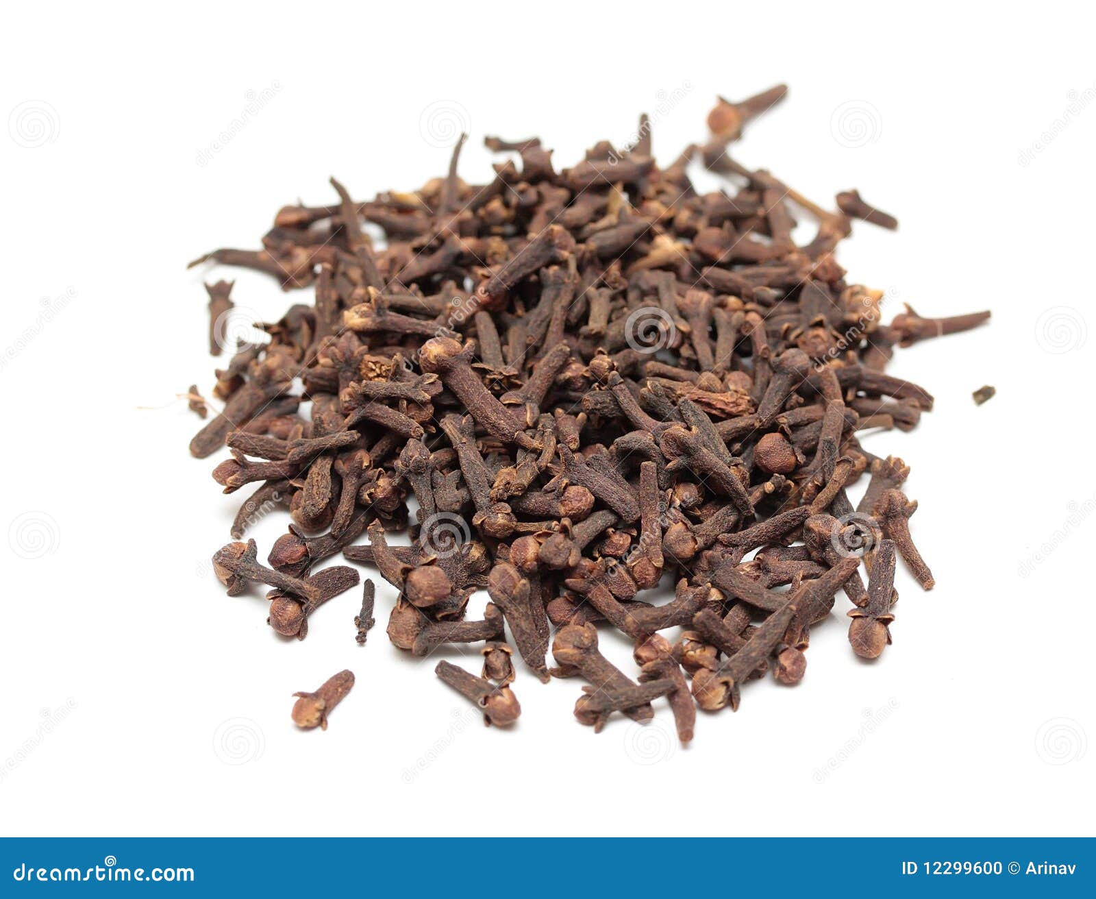 Nejlika arkivfoto. Bild av torkat, växt, inget, färg - 12299600