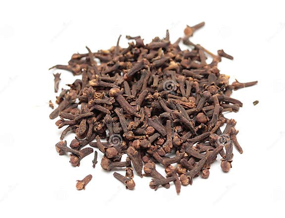 Nejlika arkivfoto. Bild av torkat, växt, inget, färg - 12299600