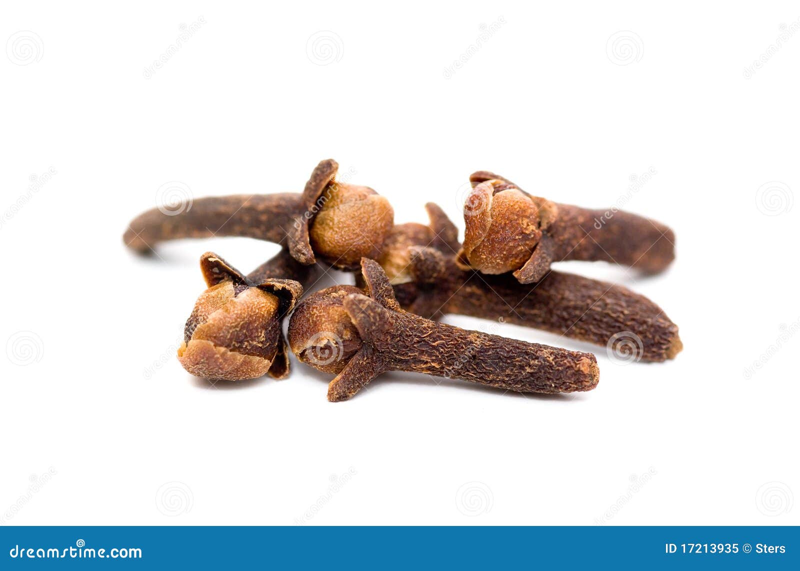 Nejlika fotografering för bildbyråer. Bild av hög, torrt - 17213935