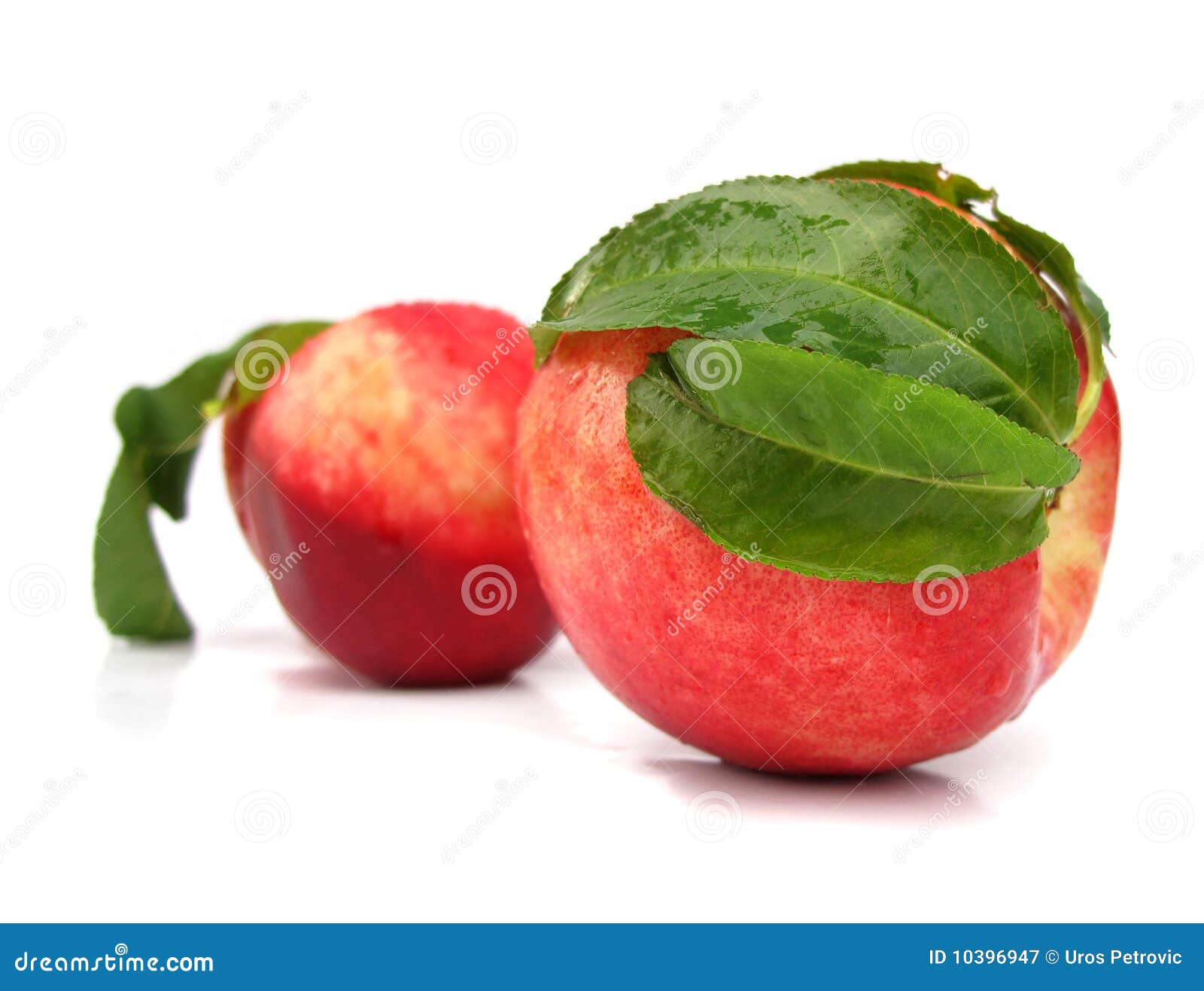 Nektarin fotografering för bildbyråer. Bild av nektariner - 10396947