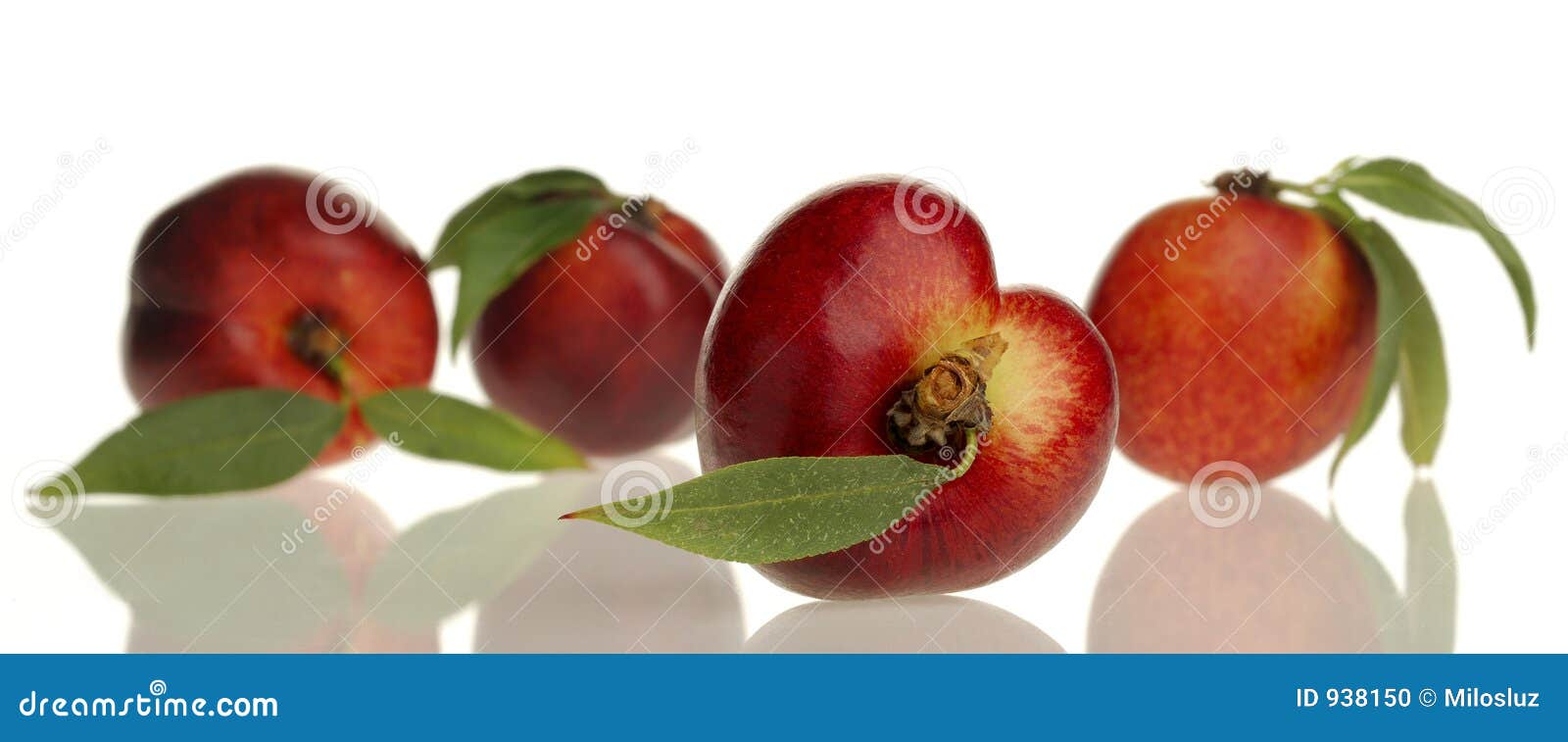 Nektarin arkivfoto. Bild av hjärta, vitaminer, löv, stamma - 938150