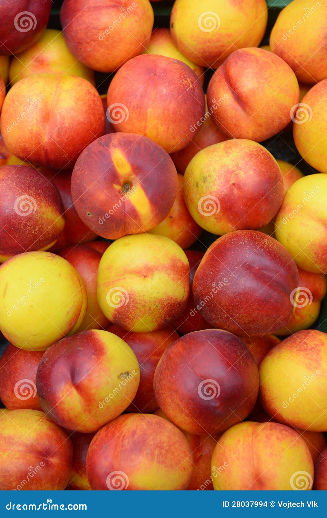 Nektarinen stockfoto. Bild von gesundheit, gesund, makro - 28037994