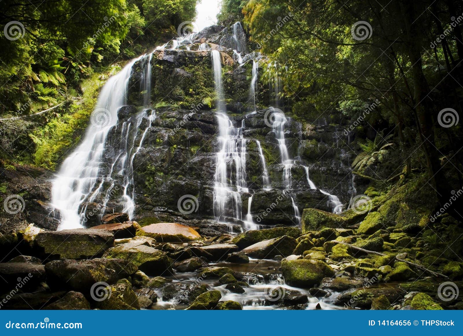 Nelson Falls, Tasmania stock photo. Image of moss, nelson - 14164656